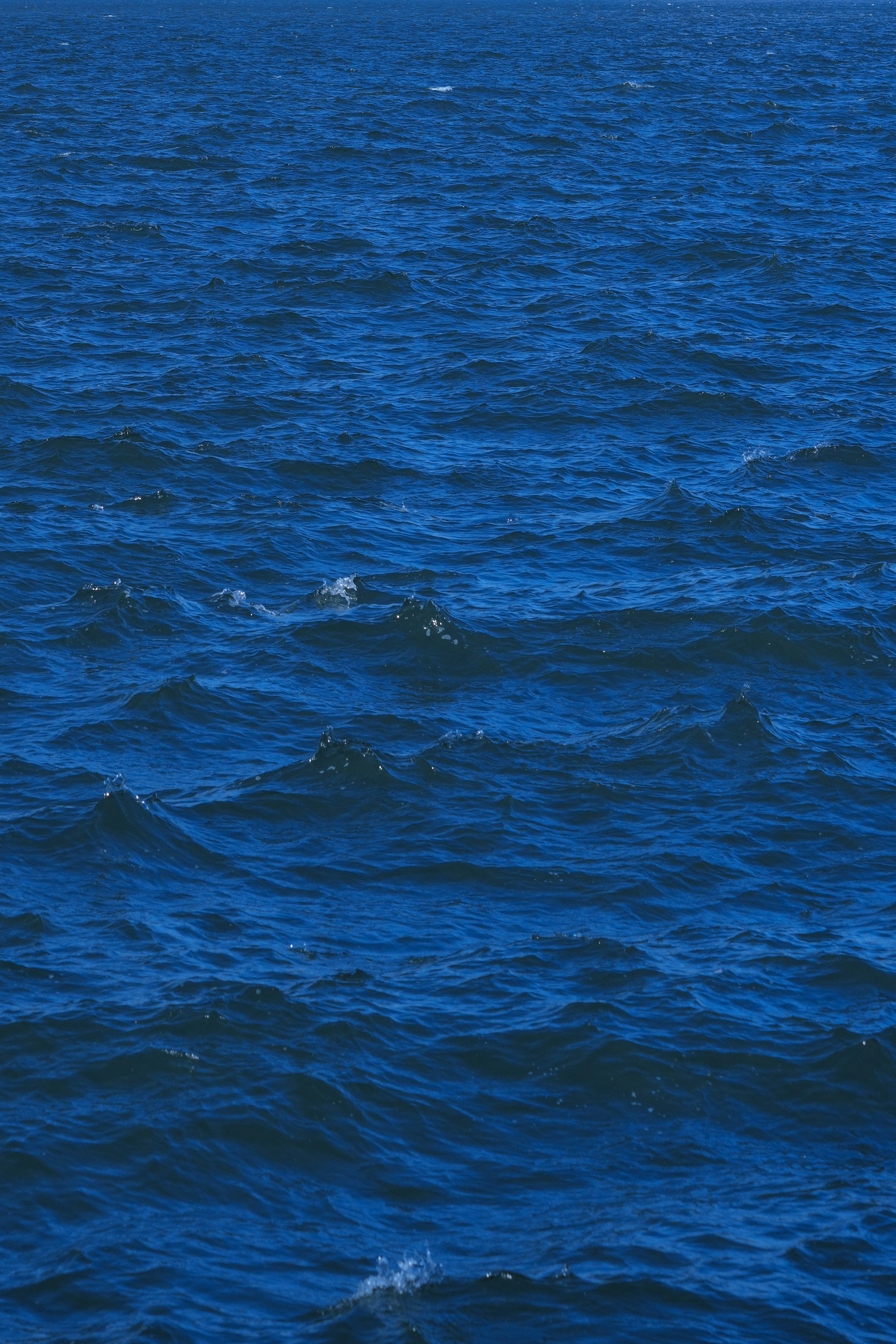 Photo by Hat Trick with Sony Alpha 7C R