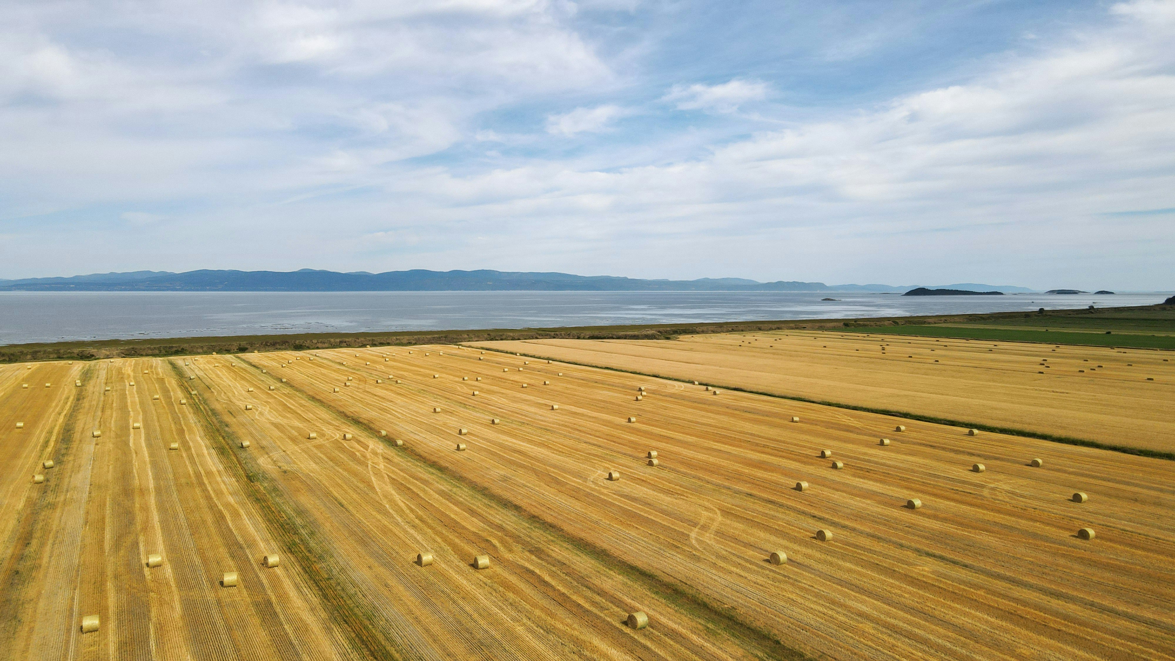 Expansive fields of harvested hay bales stretch toward a serene coastline under a cloudy sky. The horizon blends land and sea seamlessly.
