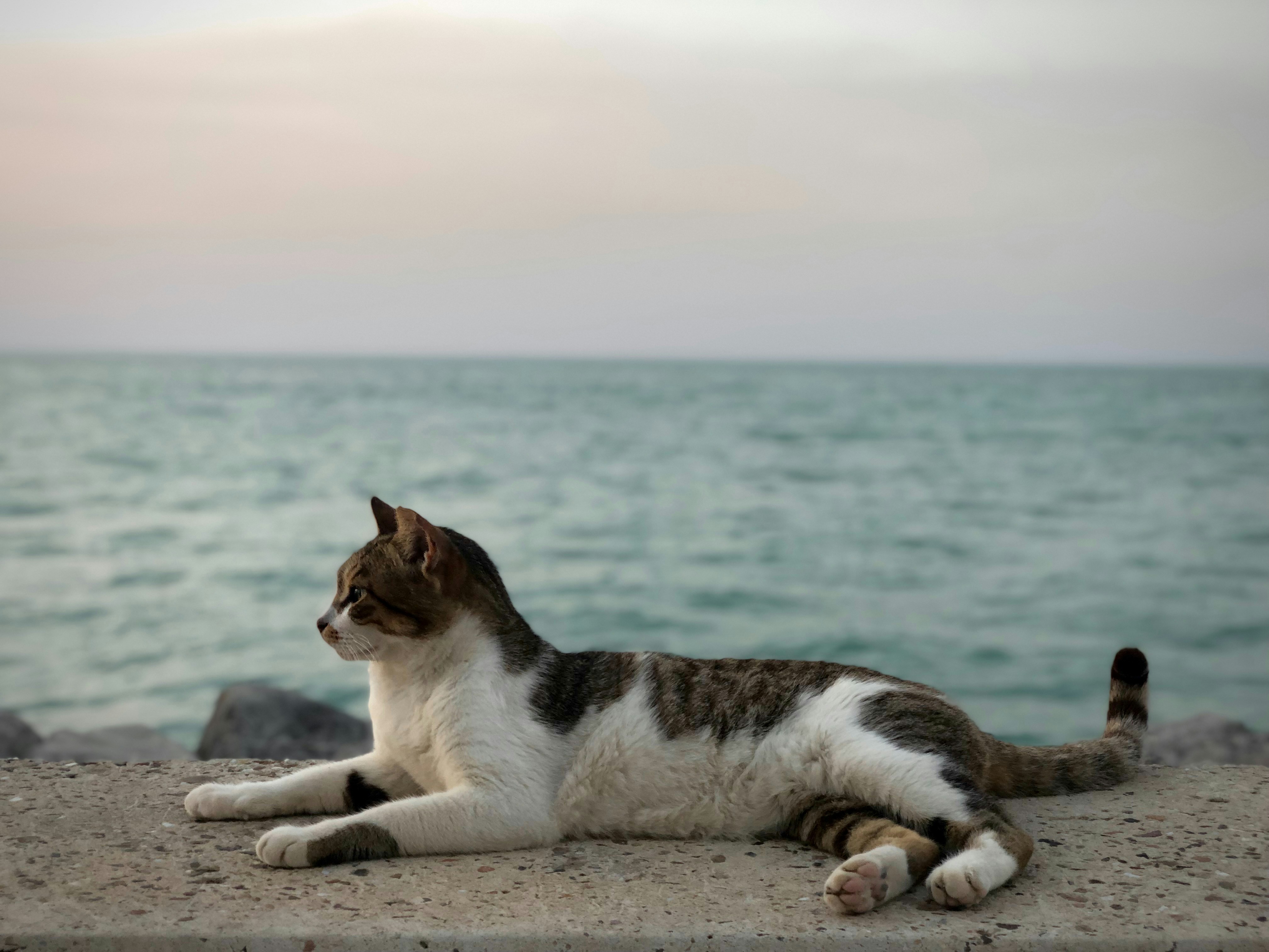 Photo by Wald Creations with Apple iPhone X