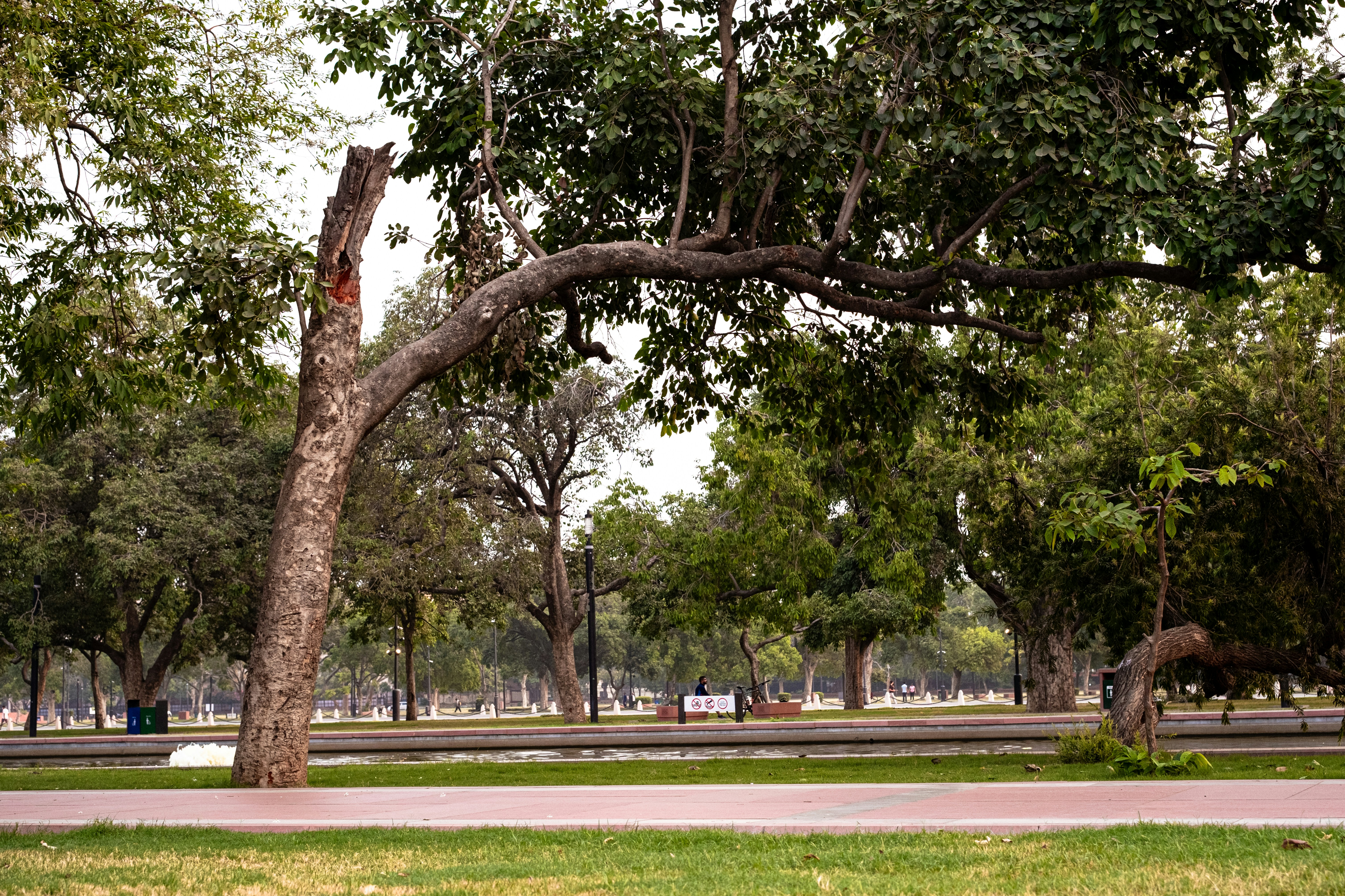 Photo by Nitin Verma with Fujifilm X-S20