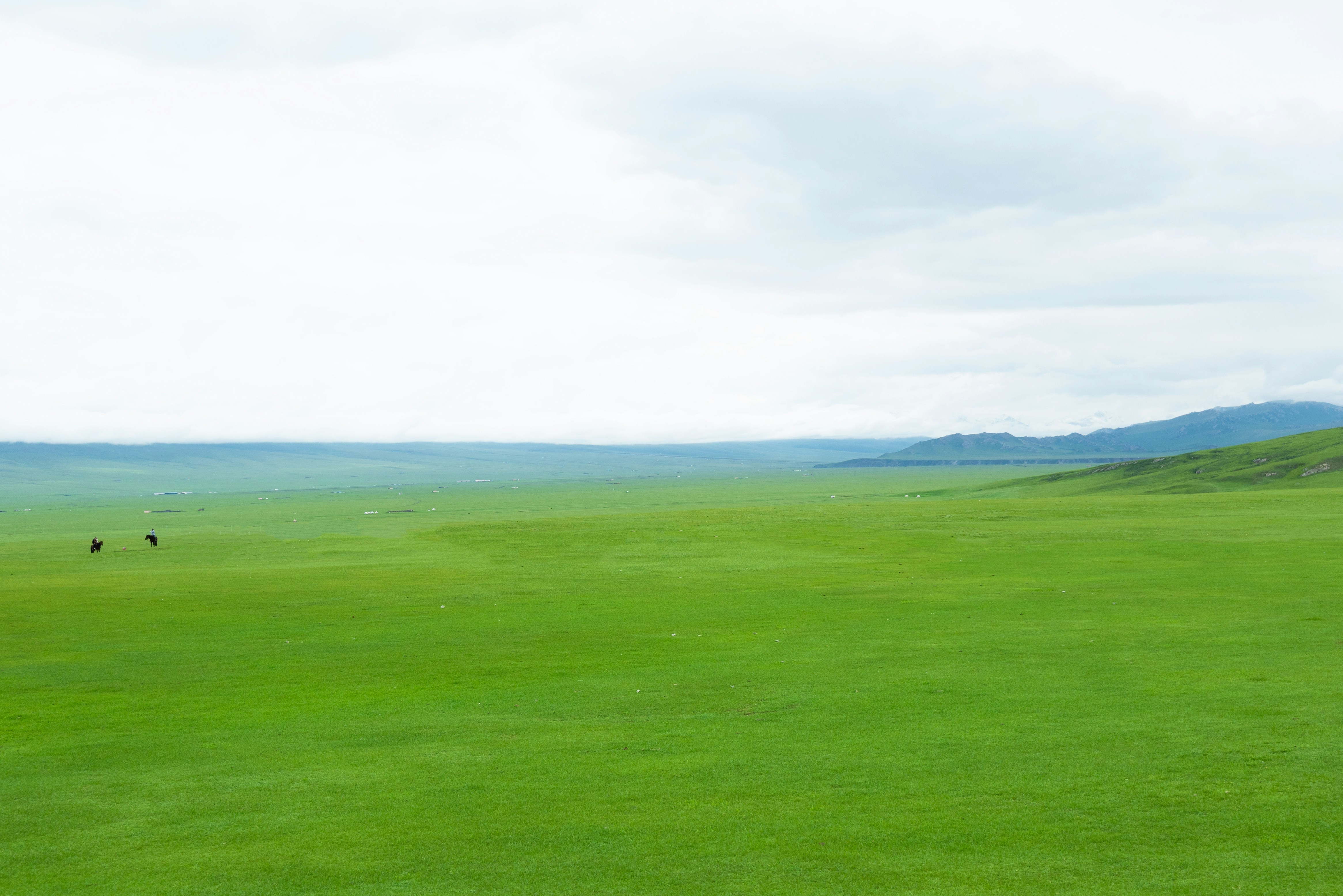 A large open field with a few animals in it photo – Free Bayanbulak ...