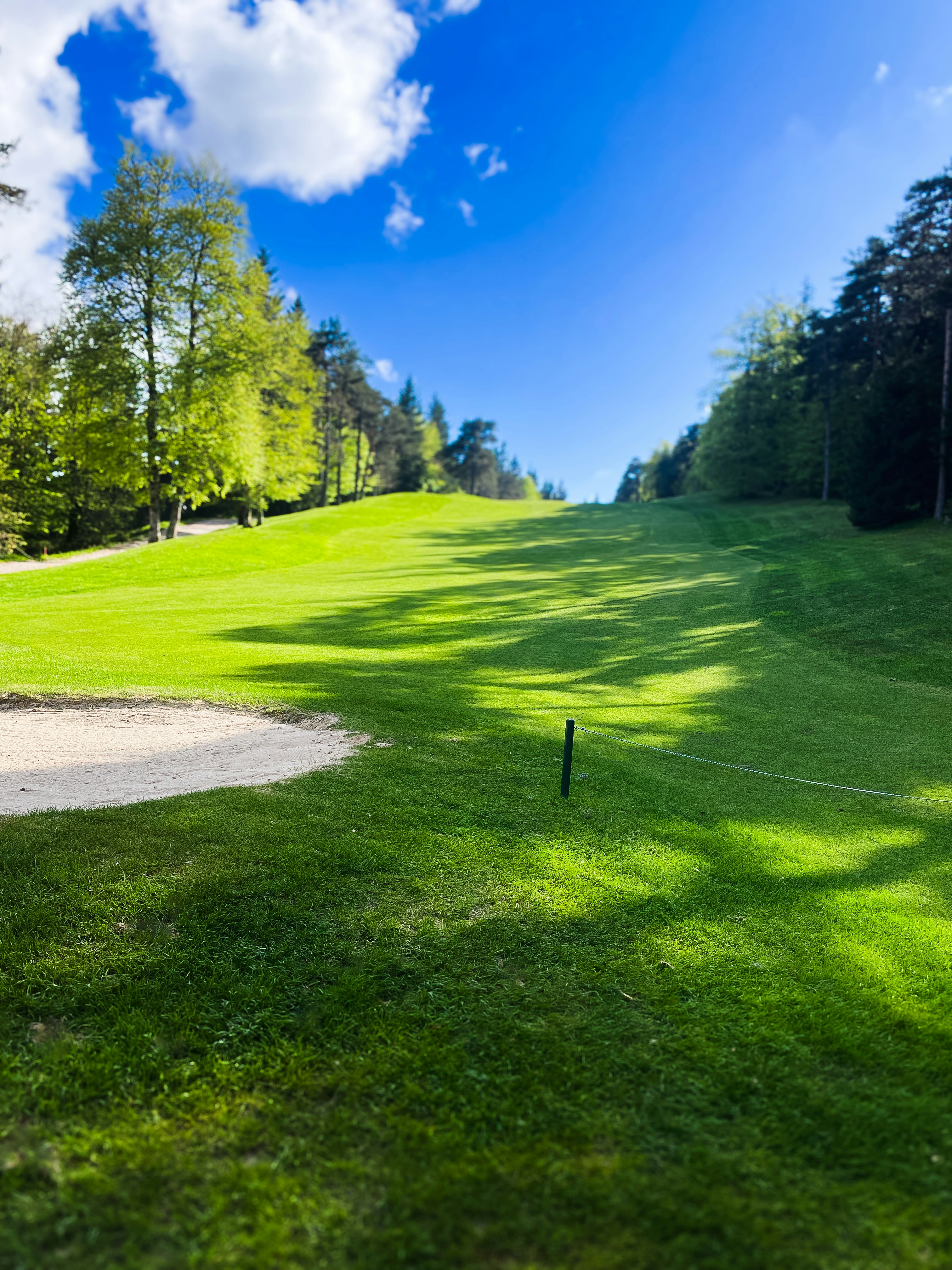 A green golf course with a blue sky in the background photo – Free ...