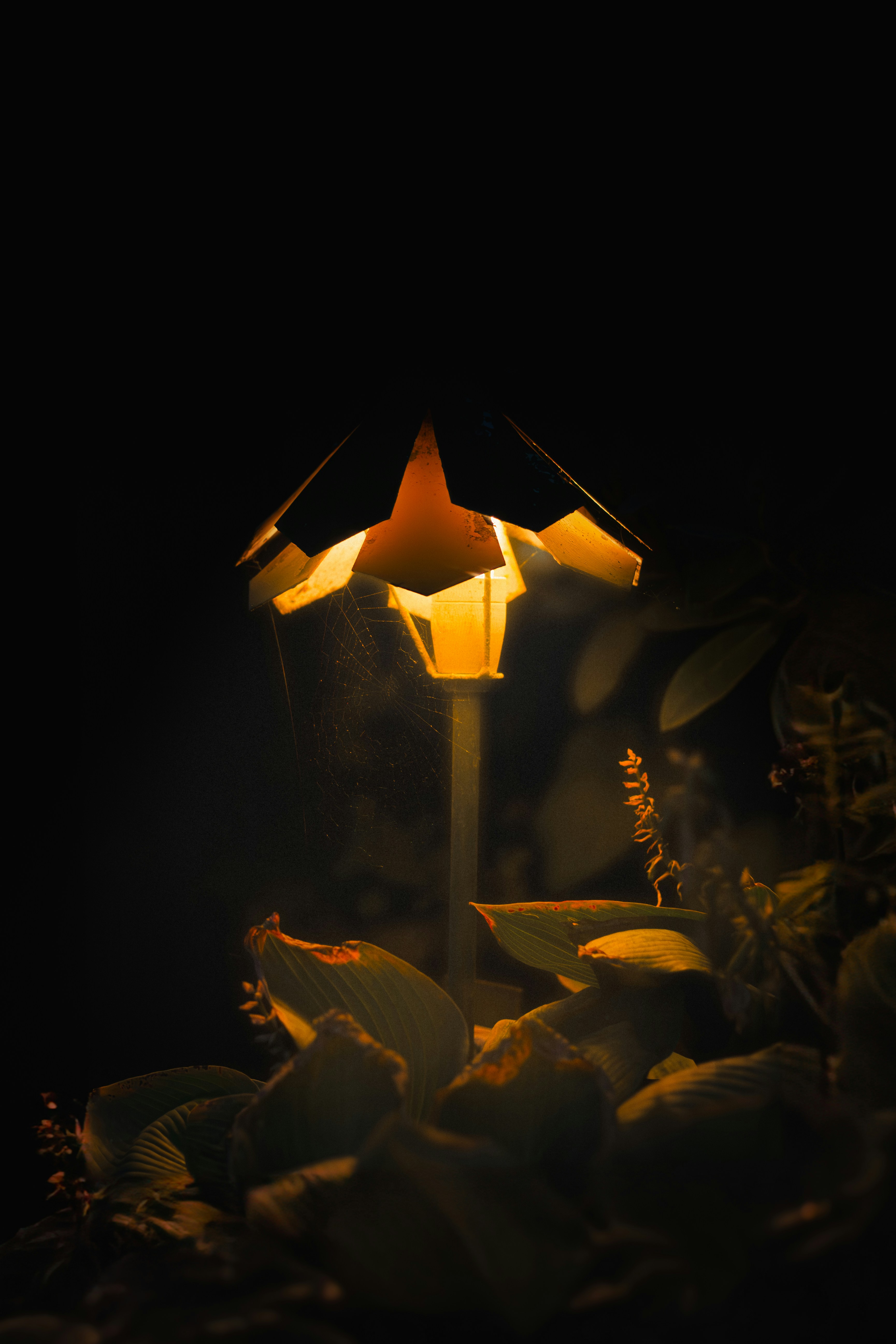 Amber Lantern: Quiet Pulse in a Shadowed Garden