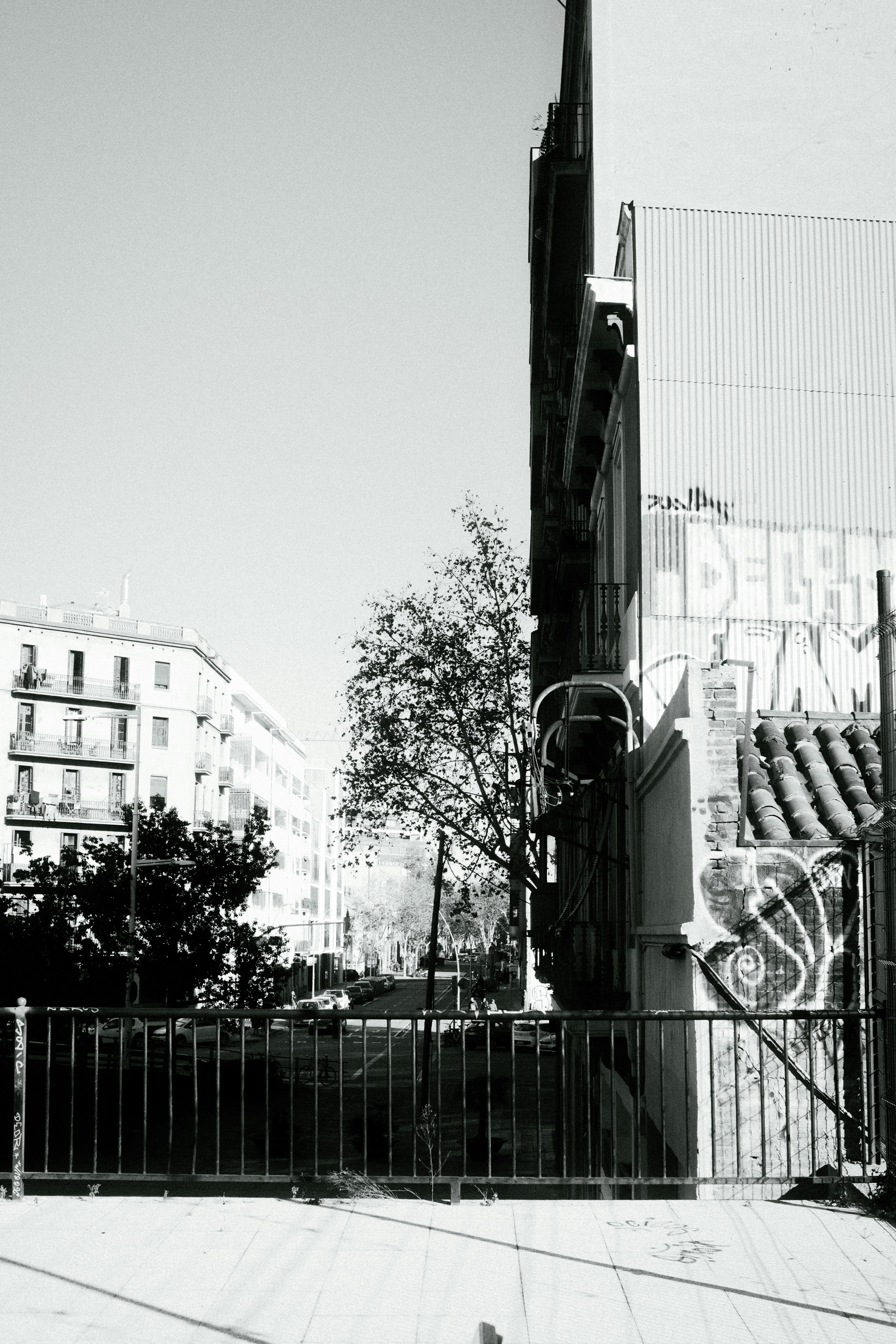 Urban Shadowplay: A Quiet Street Echoes Through Glass and Graffiti