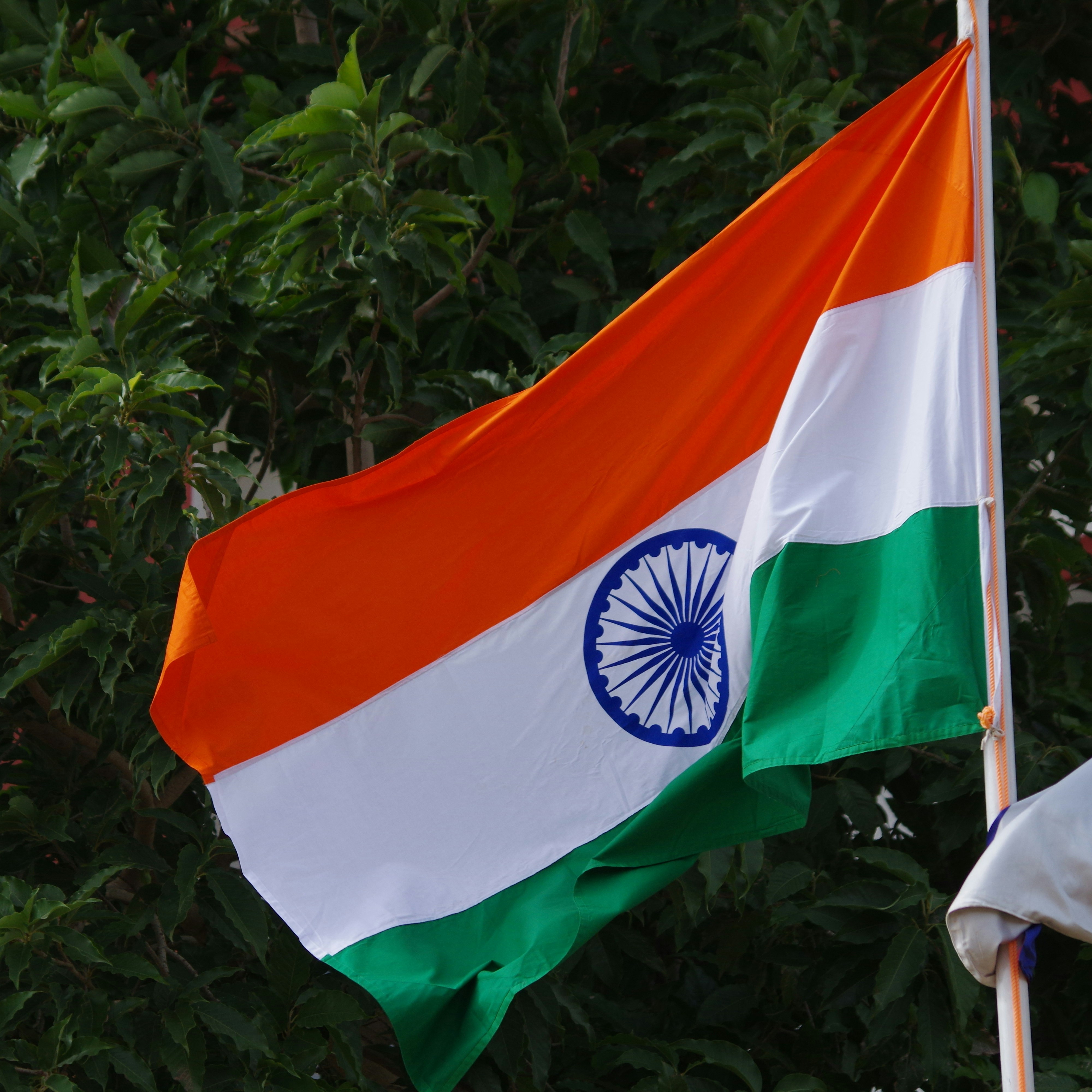 Dos banderas ondean una al lado de la otra foto – Imagen de Bandera ...