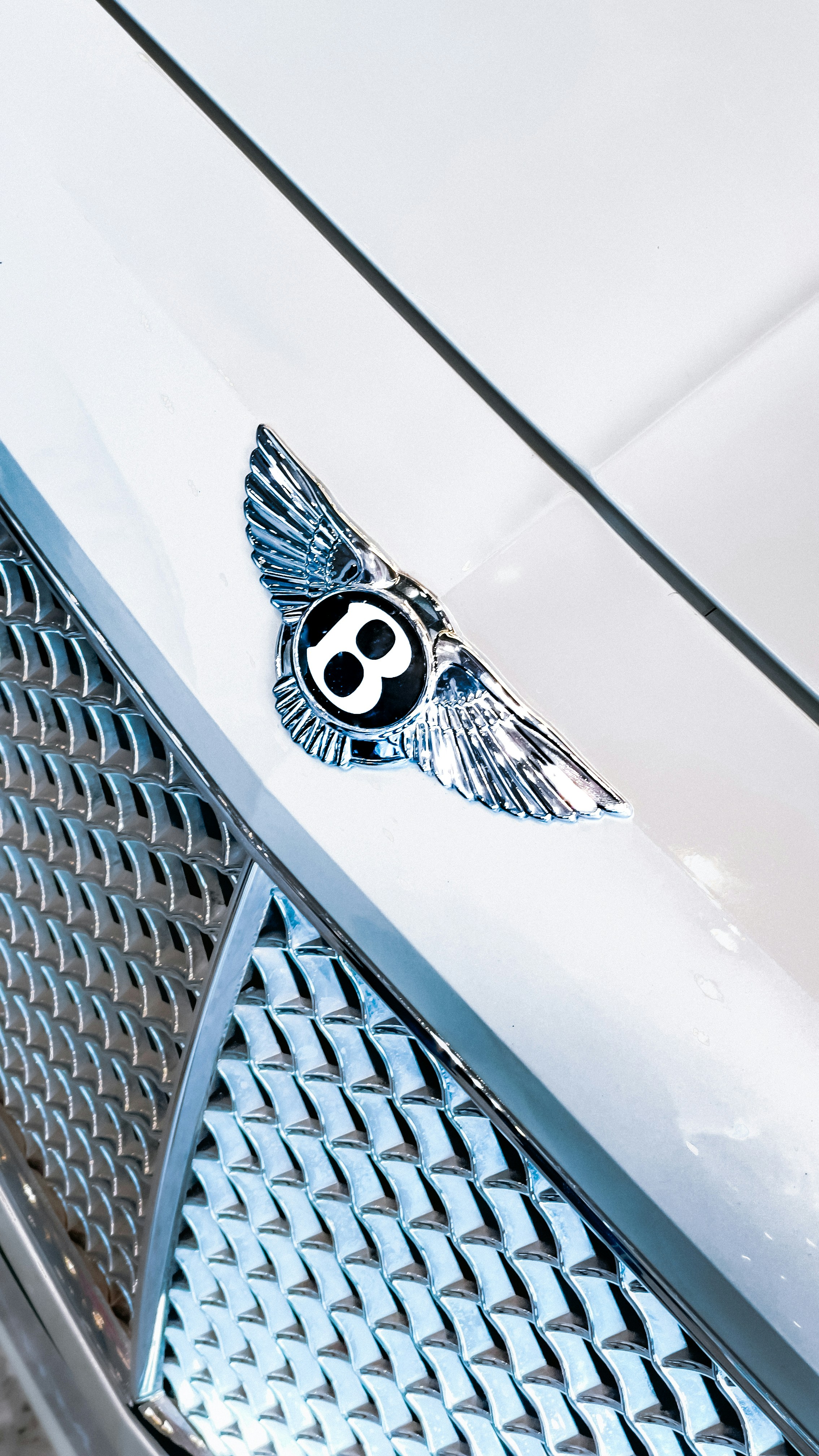 Winged Crest on a White Hood: Close-Up of a Bentley Emblem Above Diamond Grille