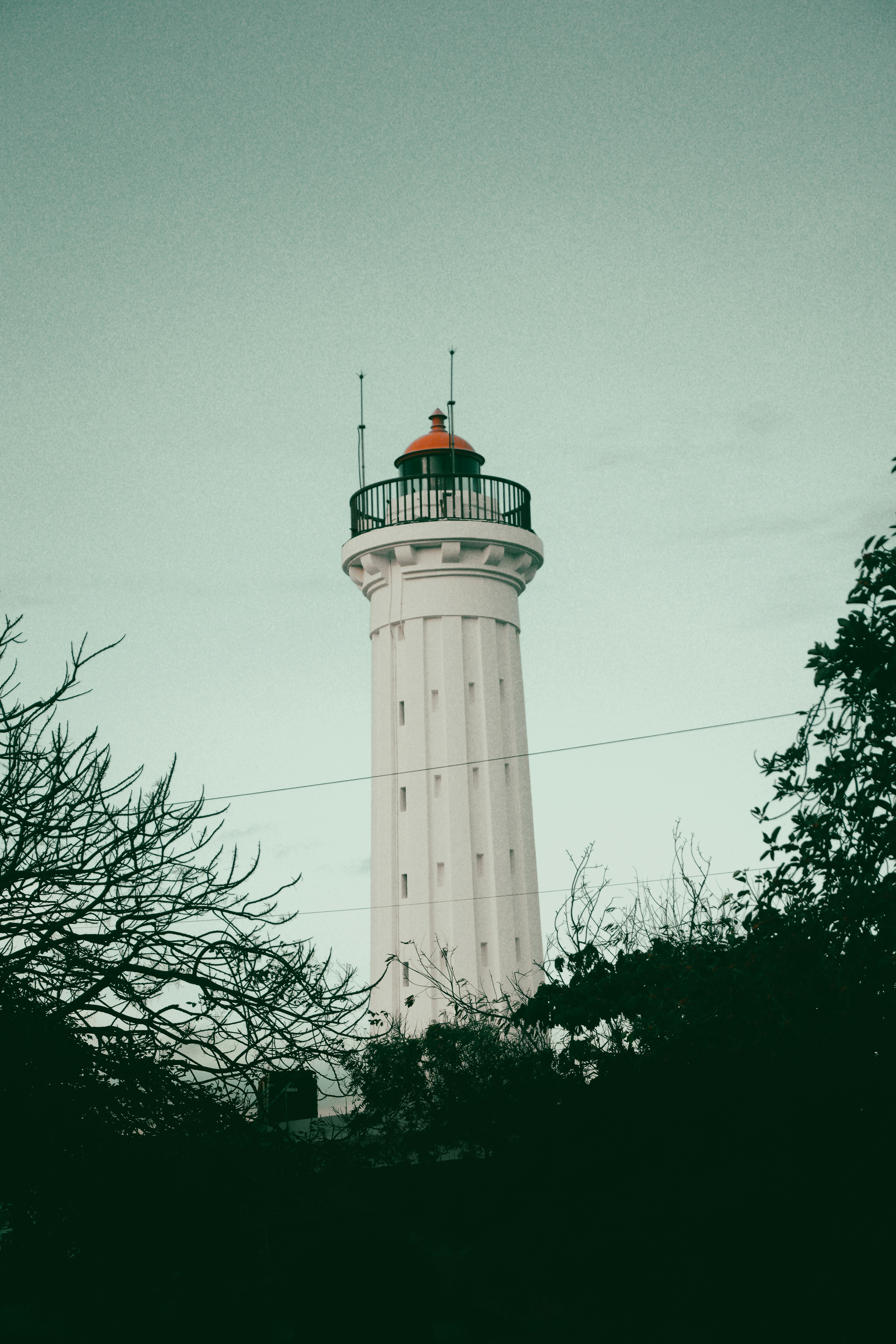 Mint-Tinted Sentinel: Lighthouse Rising Through Quiet Foliage