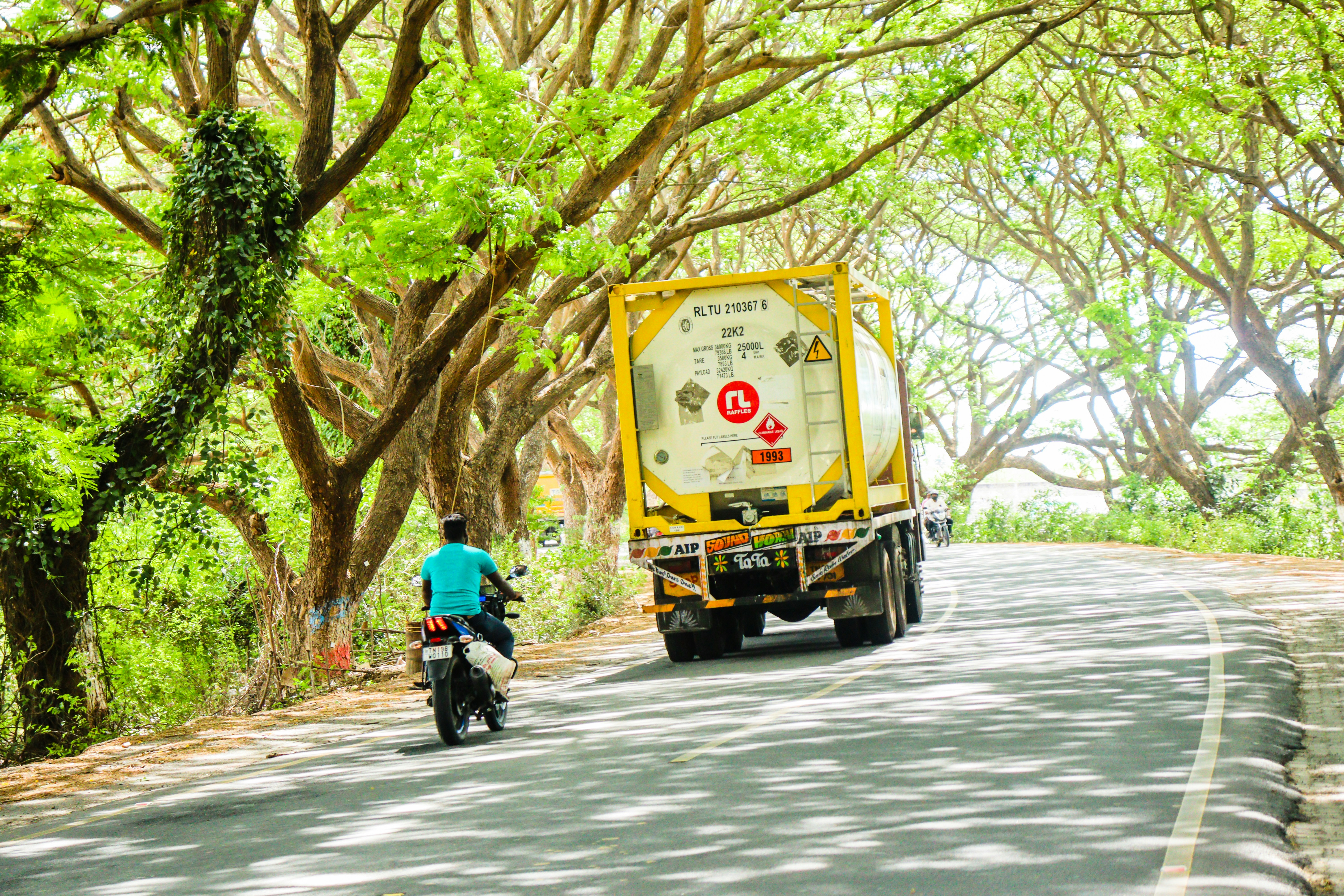 Oncoming Momentum: A Truck Rounds the Green Canopy