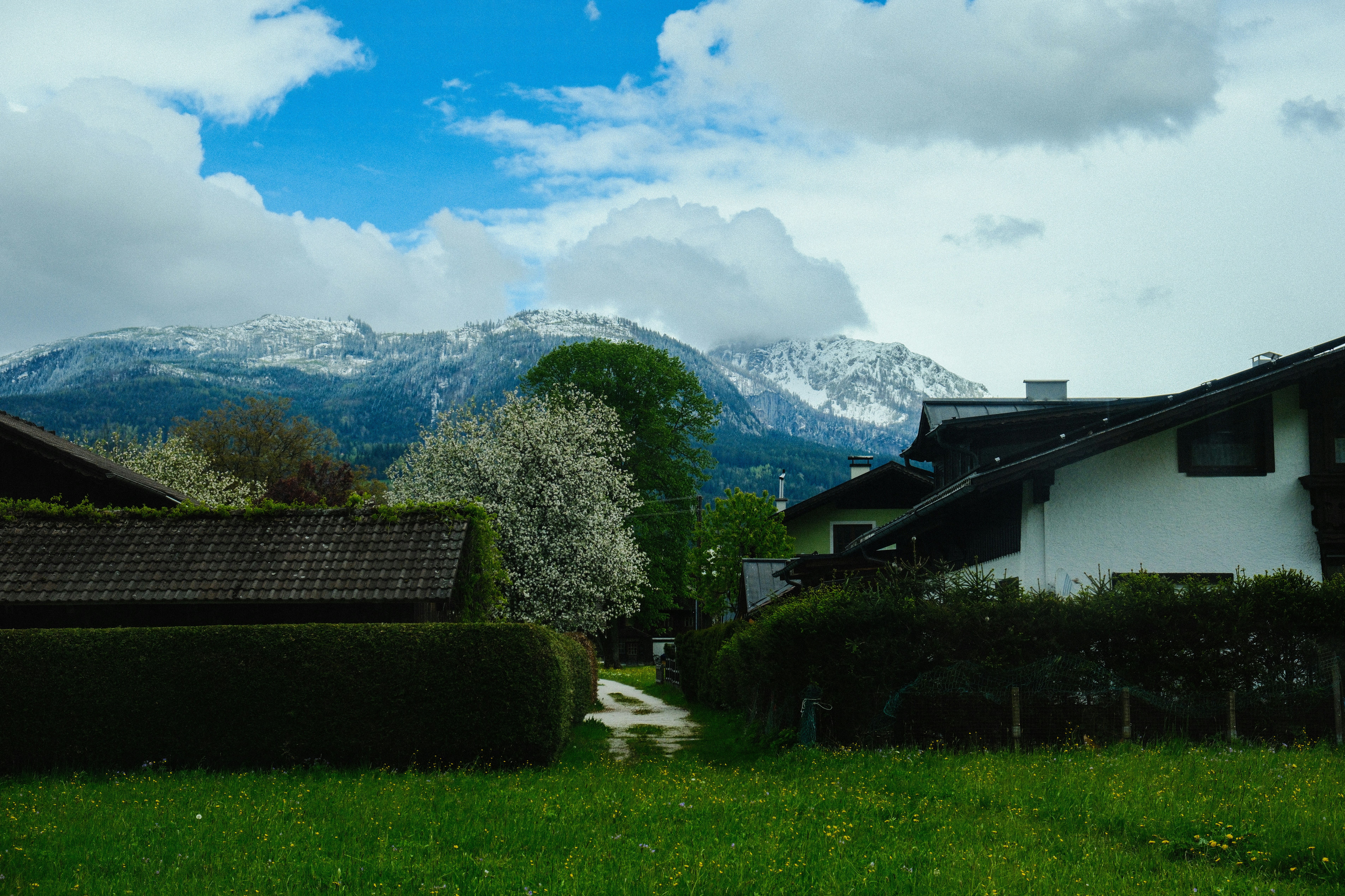 A Quiet Alpine Lane: Path Toward Snow-Dusted Peaks