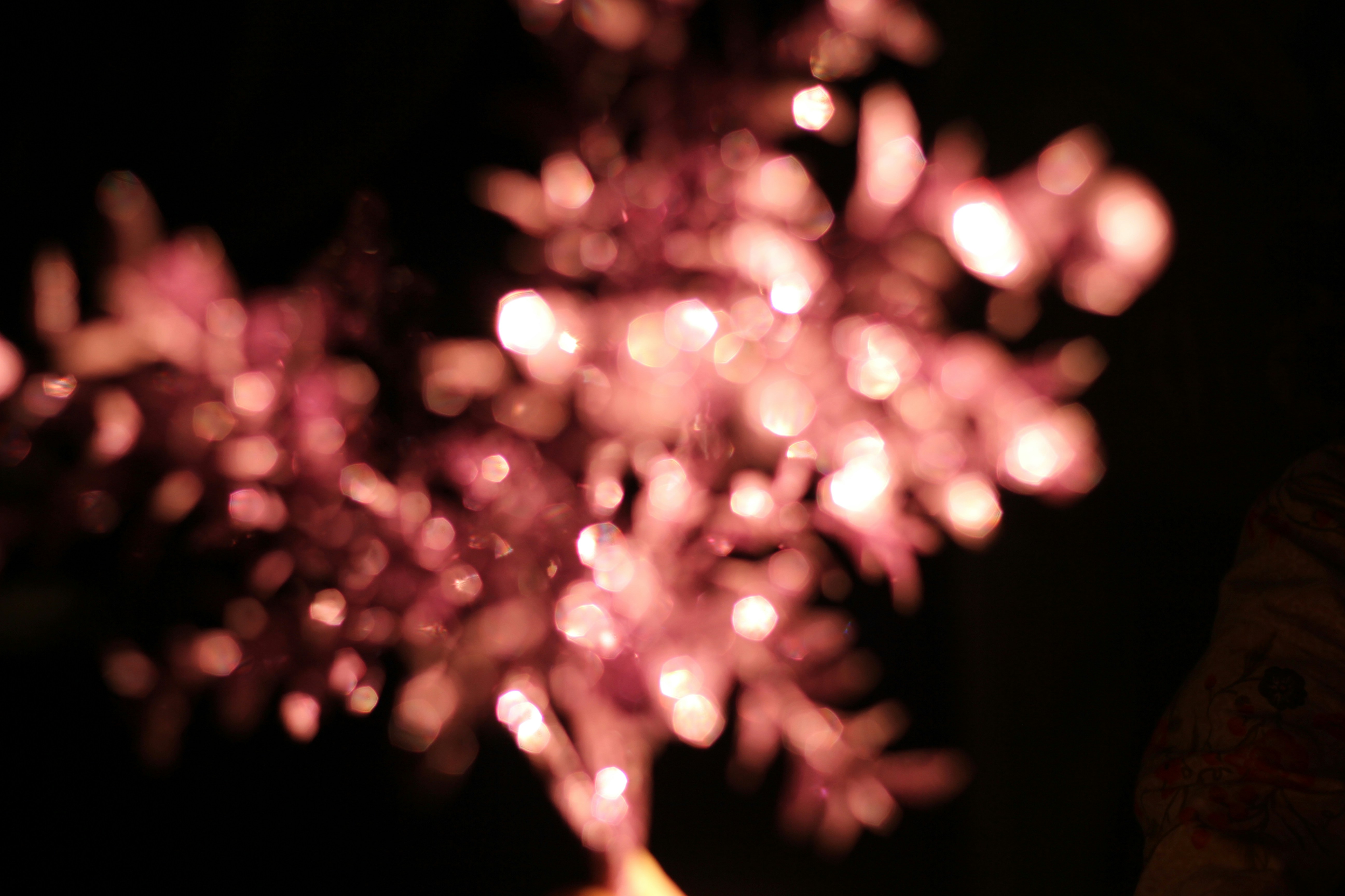 Midnight Bloom: Pink Bokeh Drapes a Dark Stage