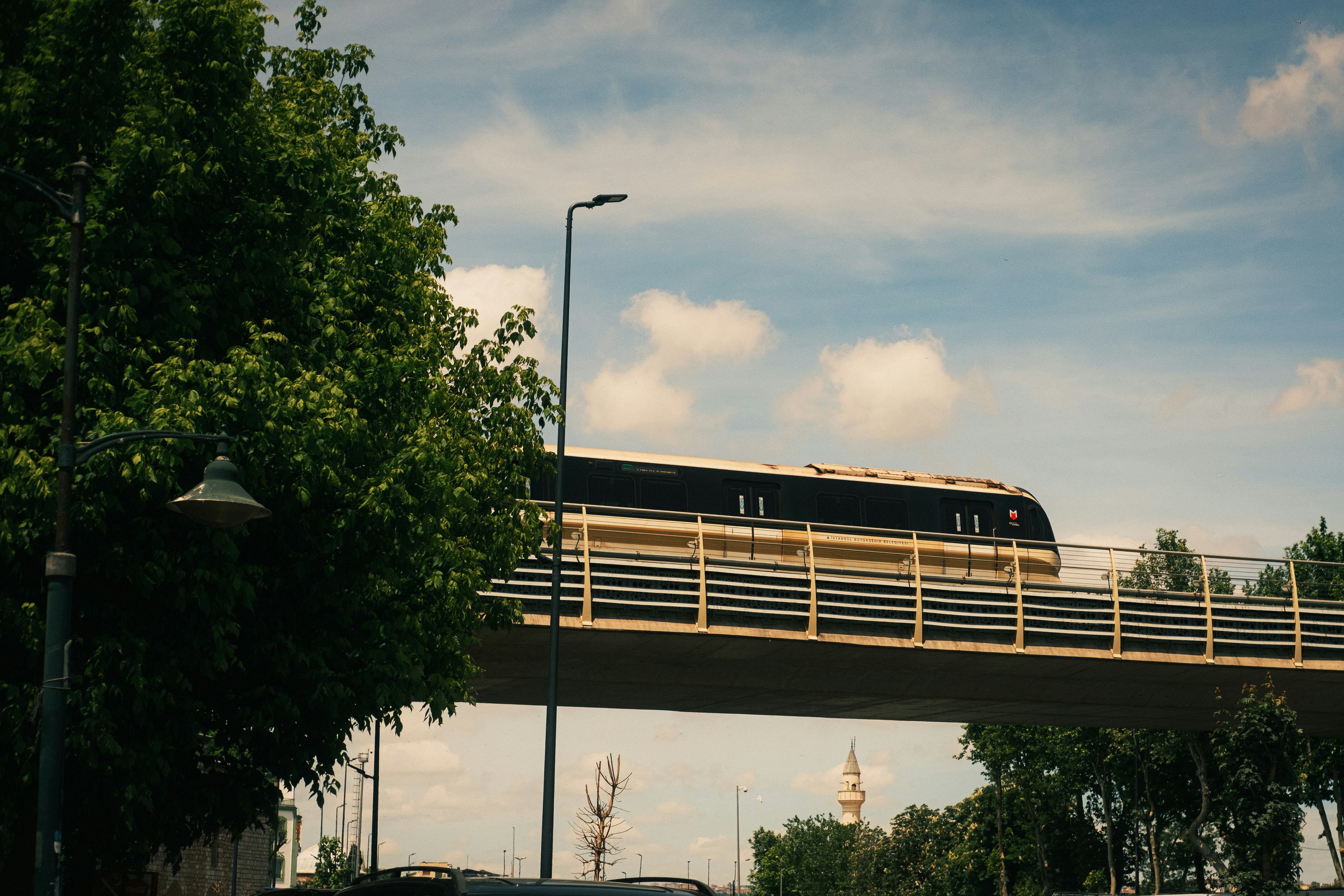 Bridge Glide: A sleek railcar crosses a leafy urban overpass