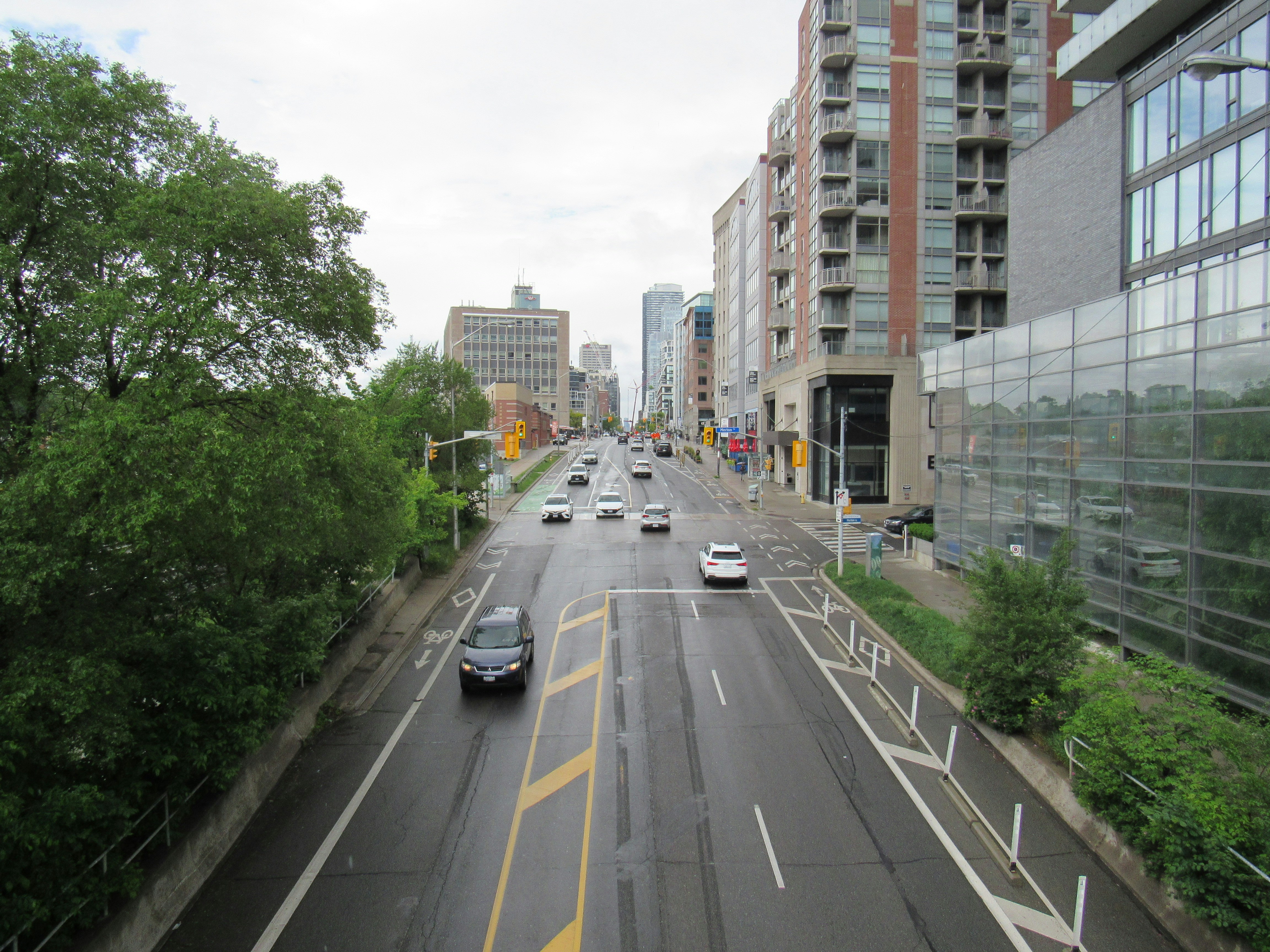 Rain-slick city street viewed from above with cars traveling along a central lane, flanked by trees on the left and glass-fronted buildings on the right.