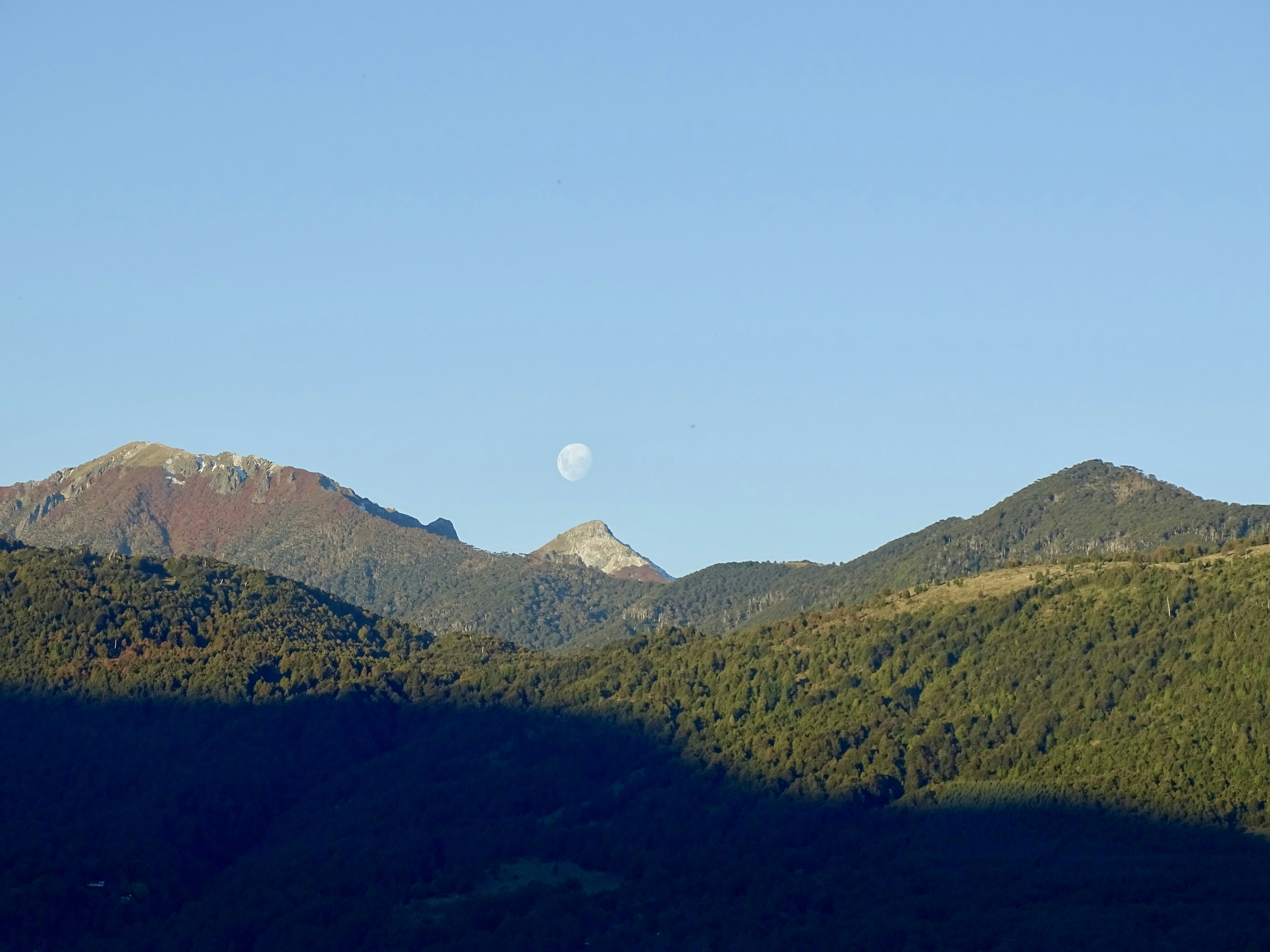 Moon Above the Ridge at Dawn: Shadows and Pine Valleys
