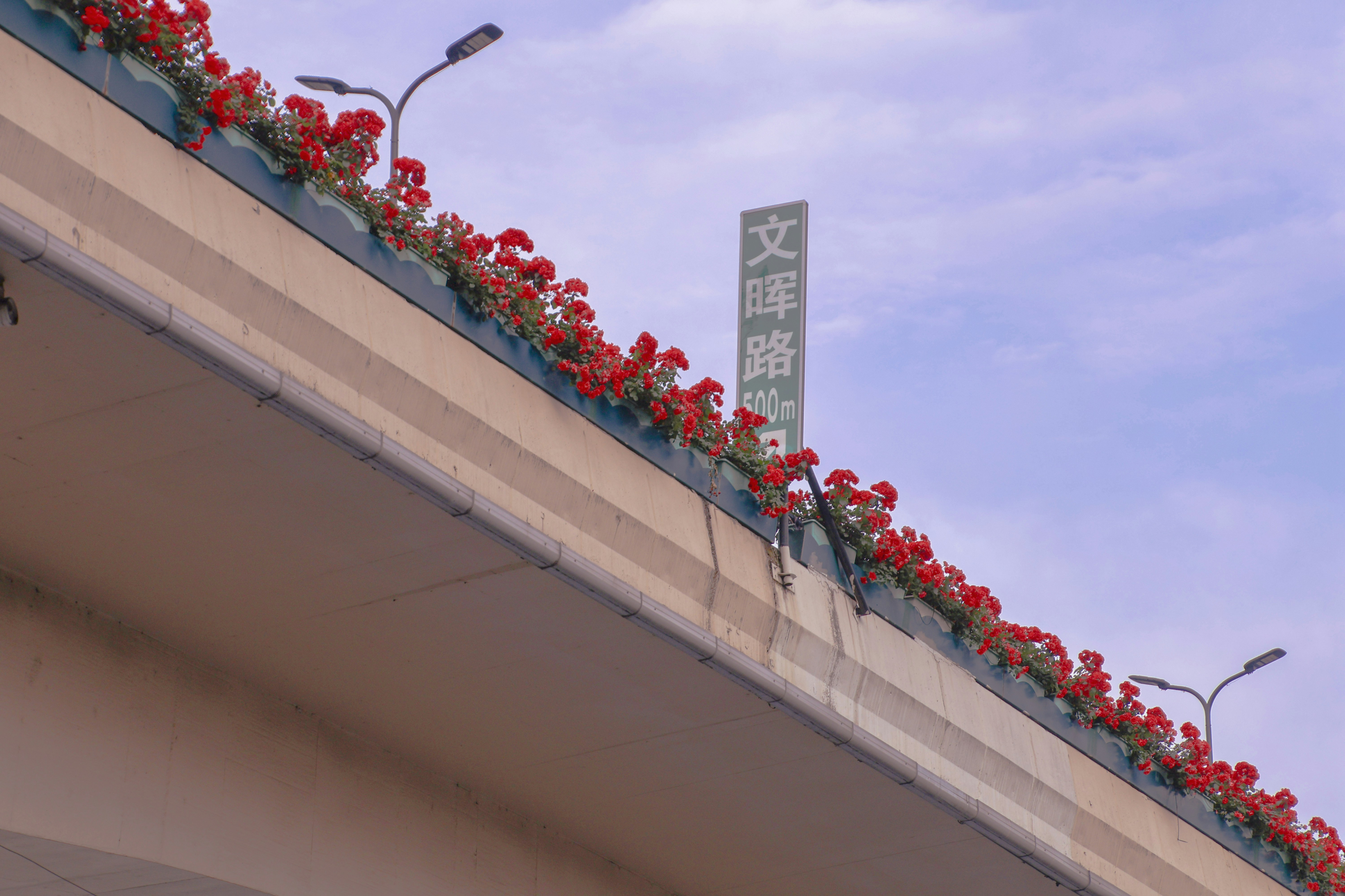 Crimson Veranda: Red Flowers Framing a Quiet Overpass Under a Pale Sky