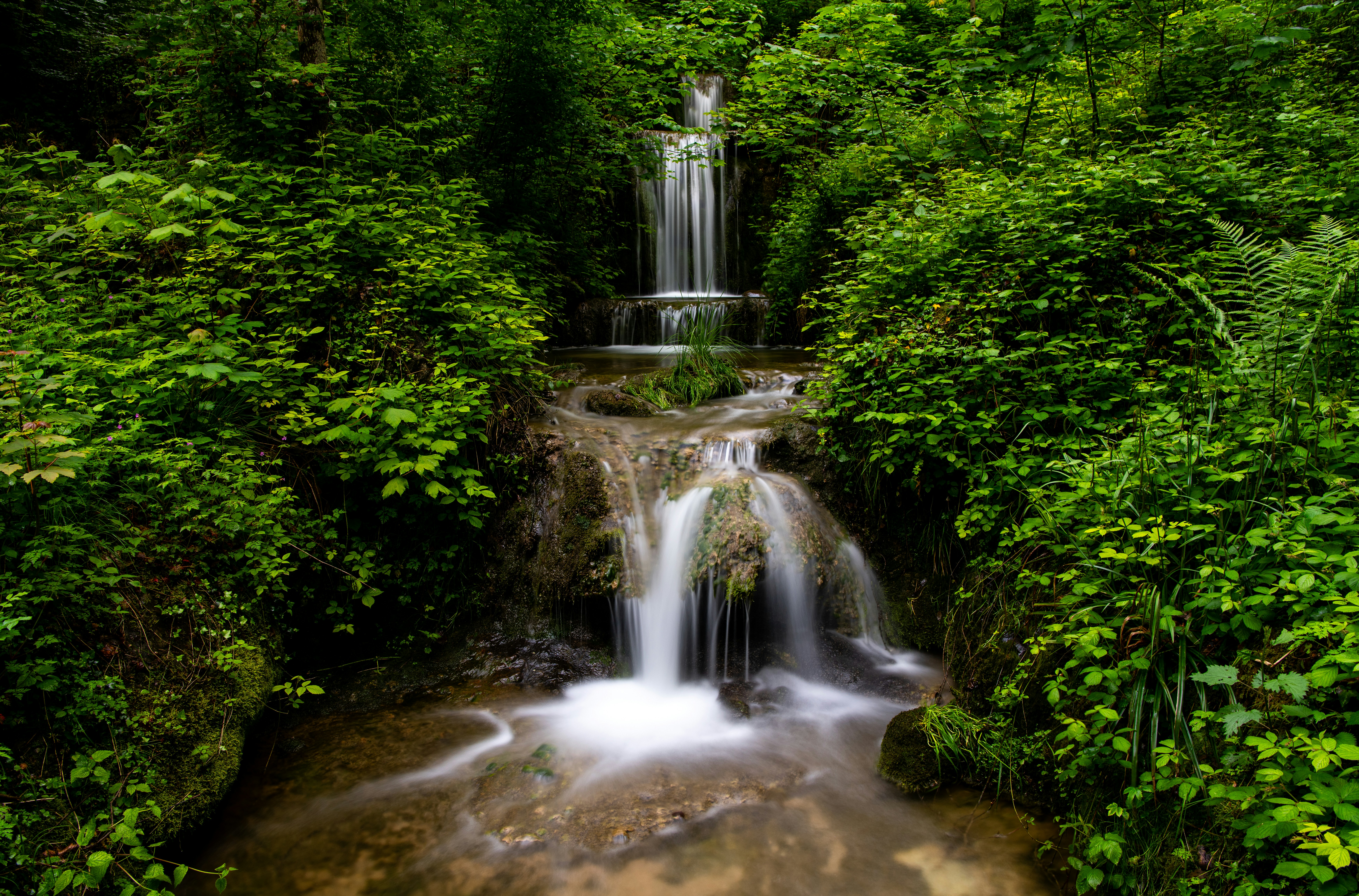 Una pequeña cascada en medio de un bosque foto – Imagen de Naturaleza gratuita en Unsplash
