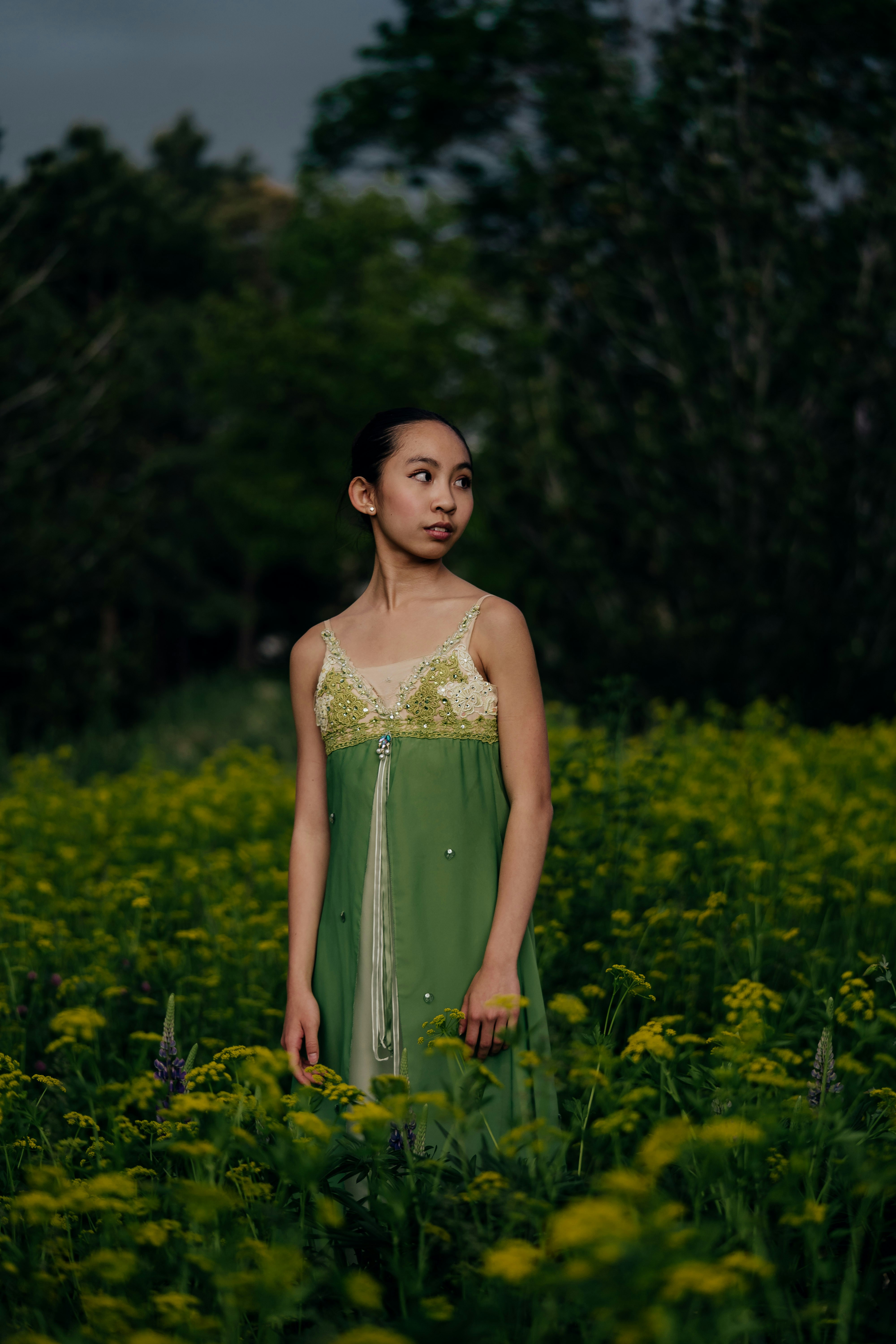 Emerald in a Meadow of Canary Blooms at Dusk
