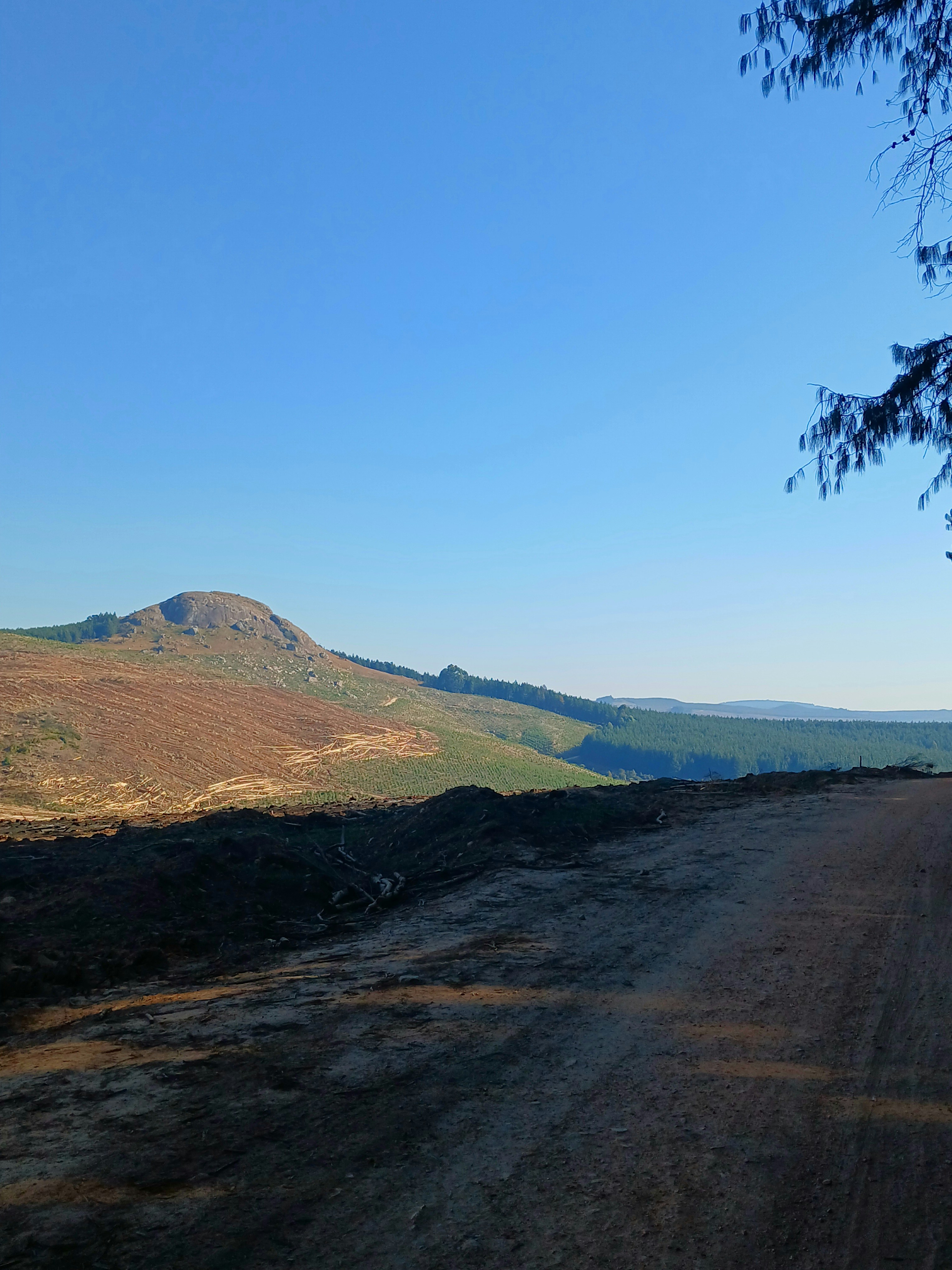 Dusty dirt road winds toward a distant hill under a clear cobalt sky.