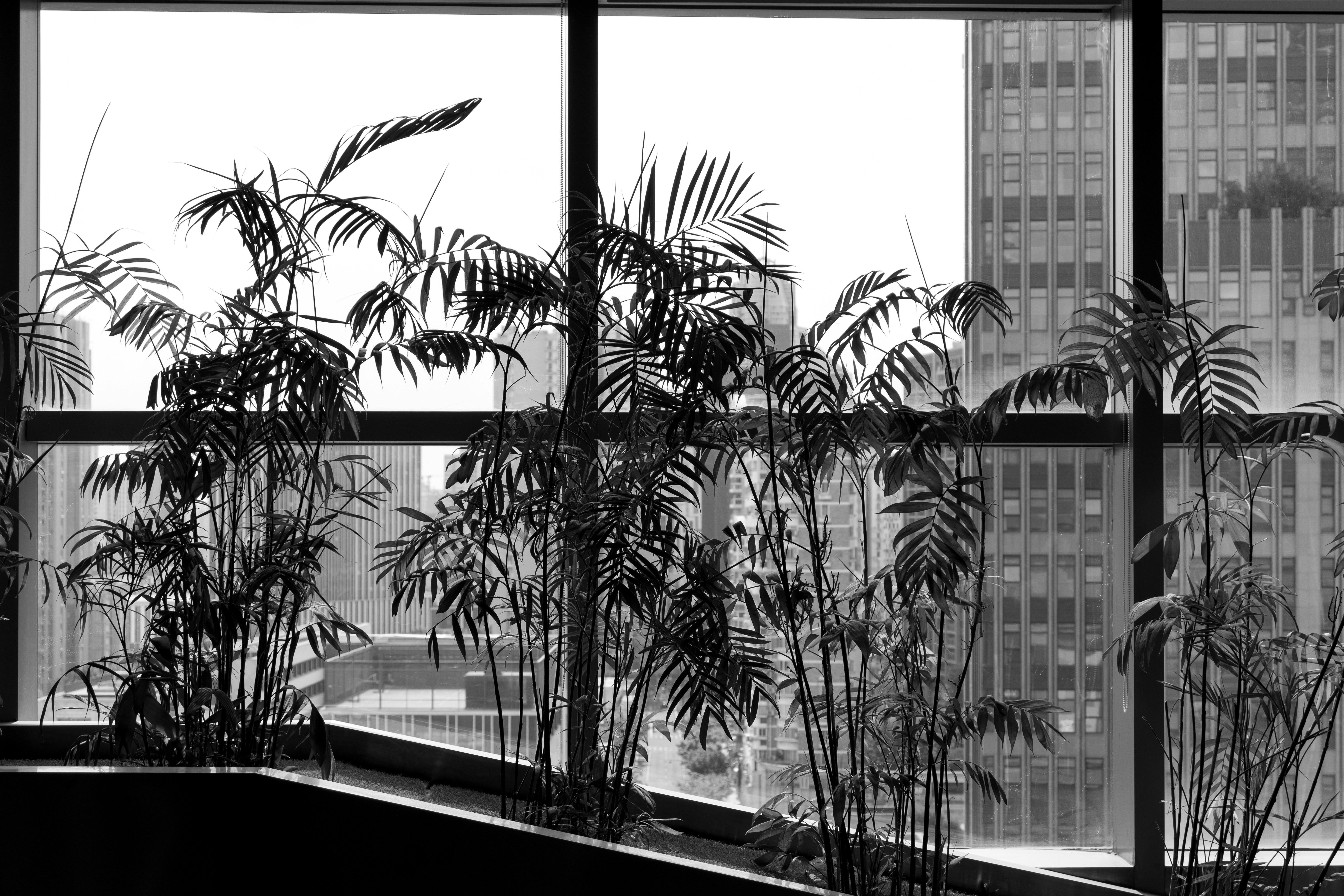 A black and white photo of a window with a view of a city photo – Free ...