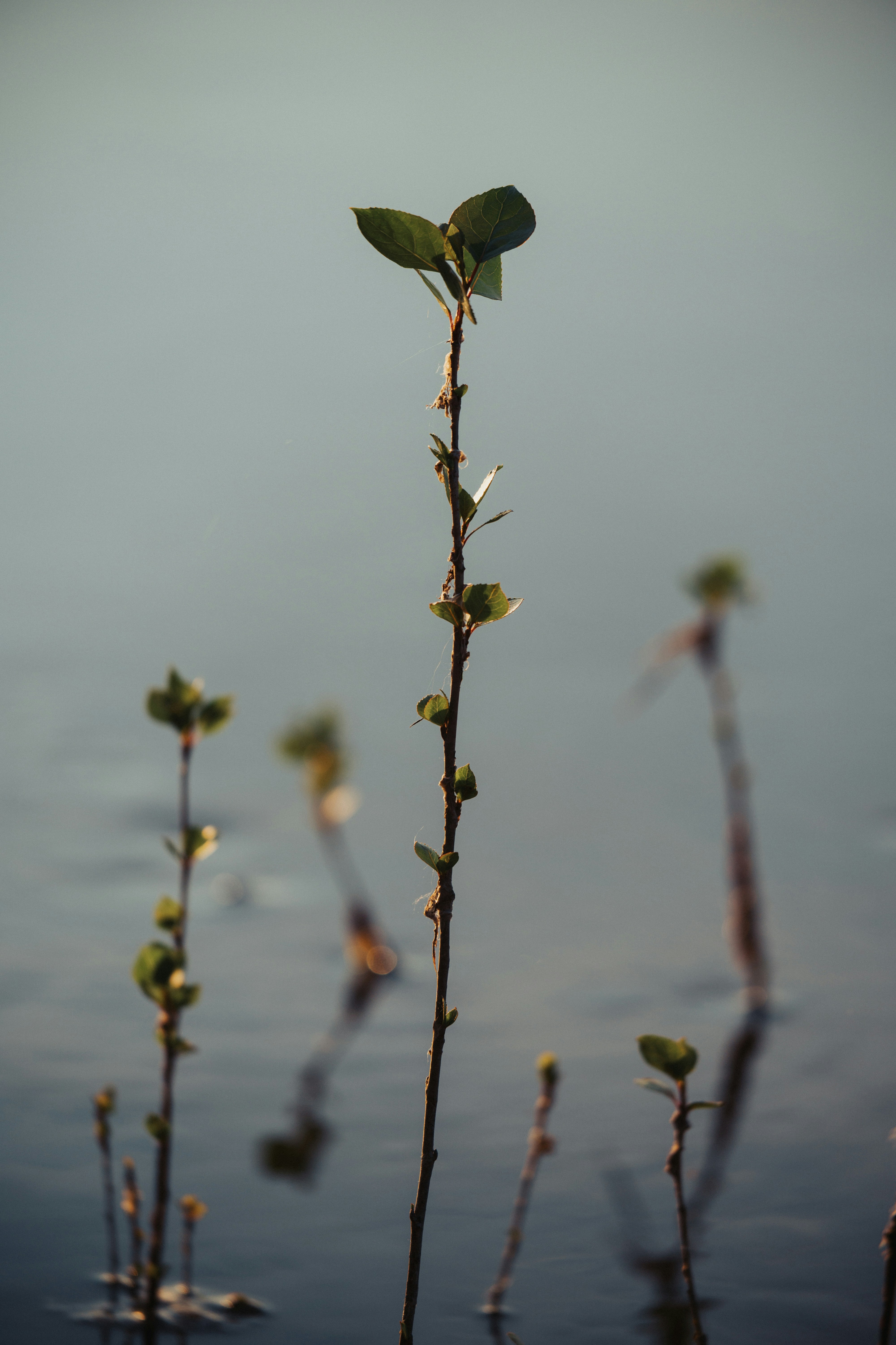 Photo by Philipp Deus with Sony Alpha 7C