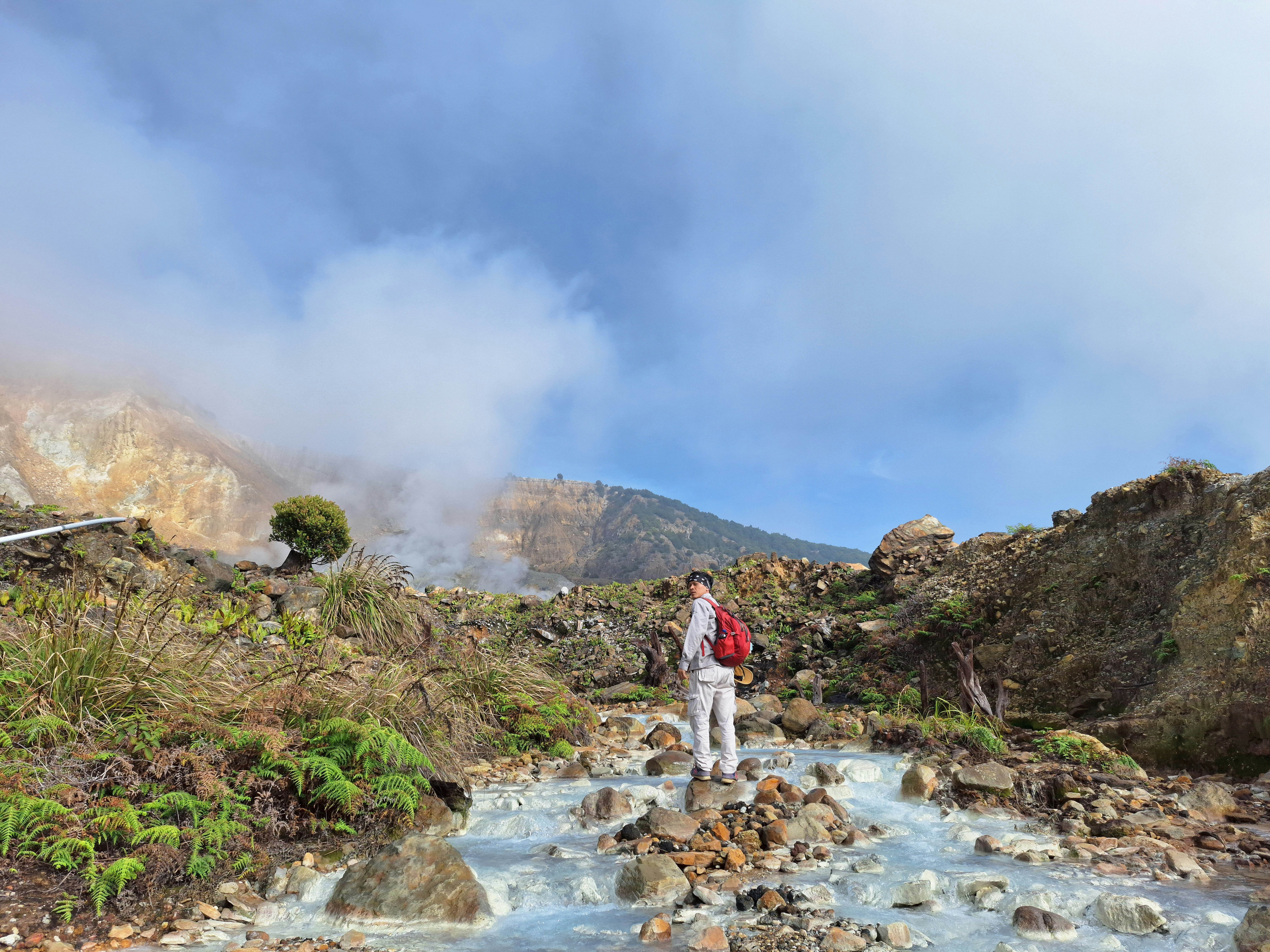 Journey Through the Misty Terrain
