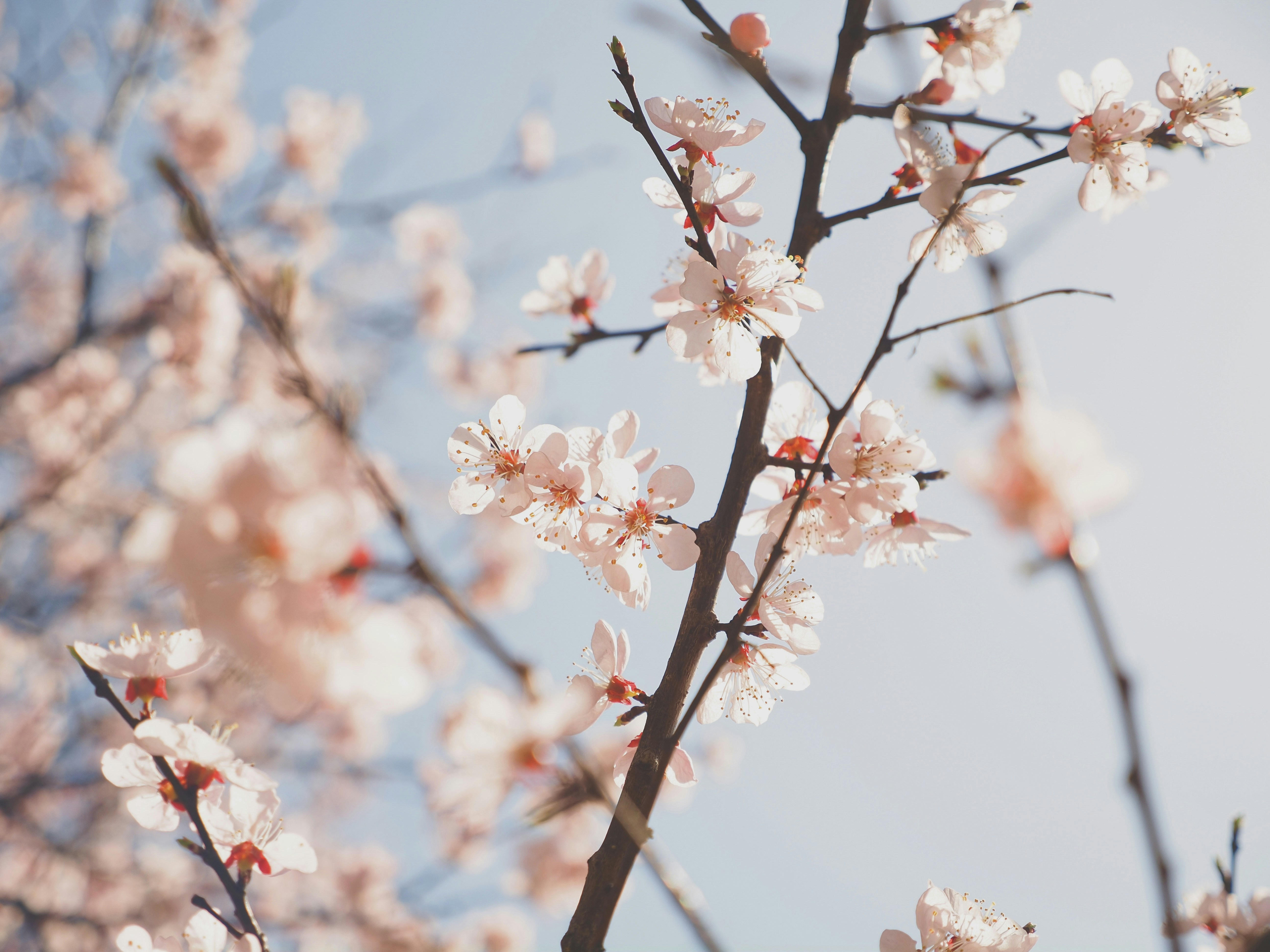 Sample photo from OM System OM-5