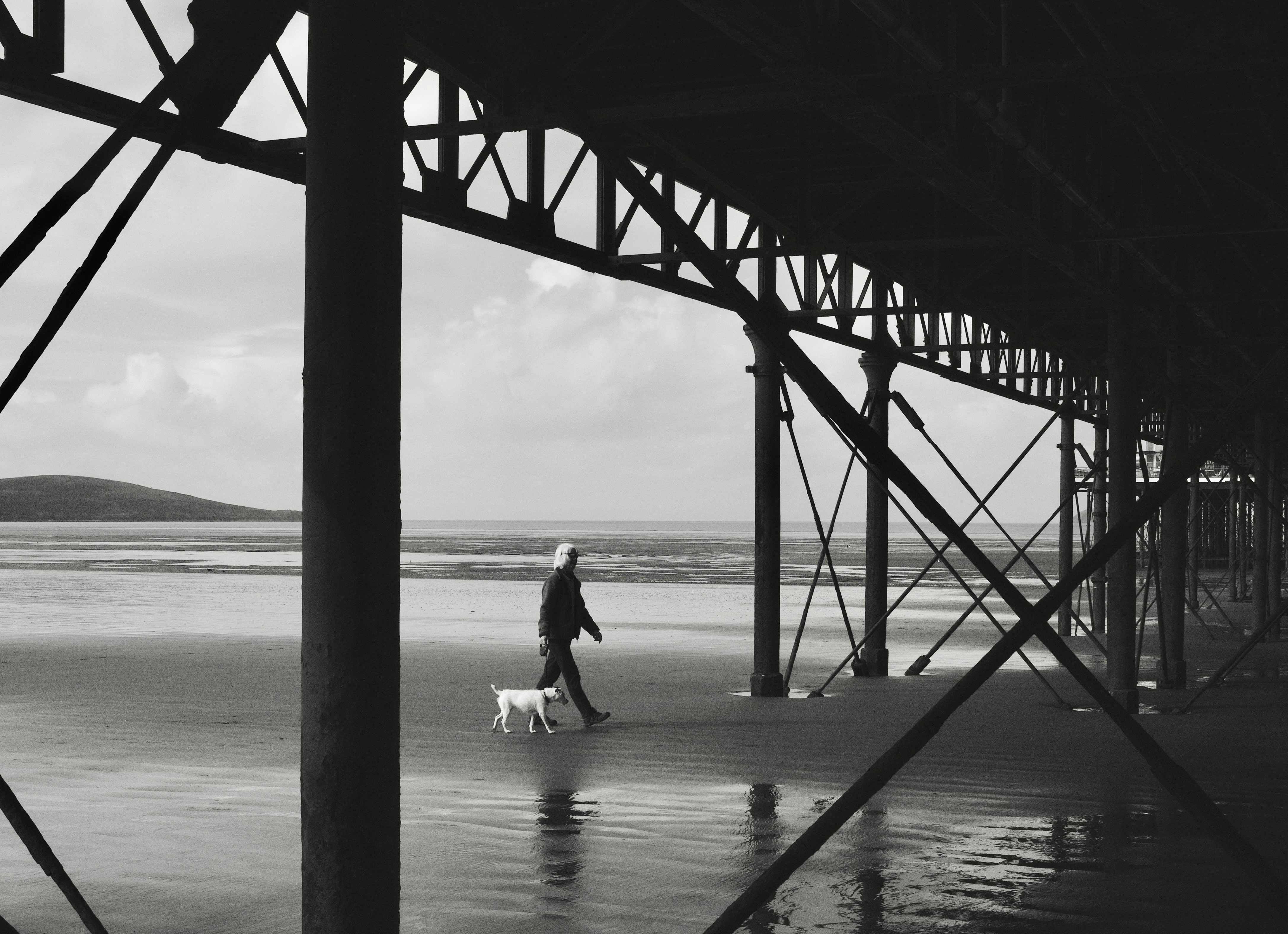 Person walking a dog under a large bridge on a wet beach, with distant hills visible.