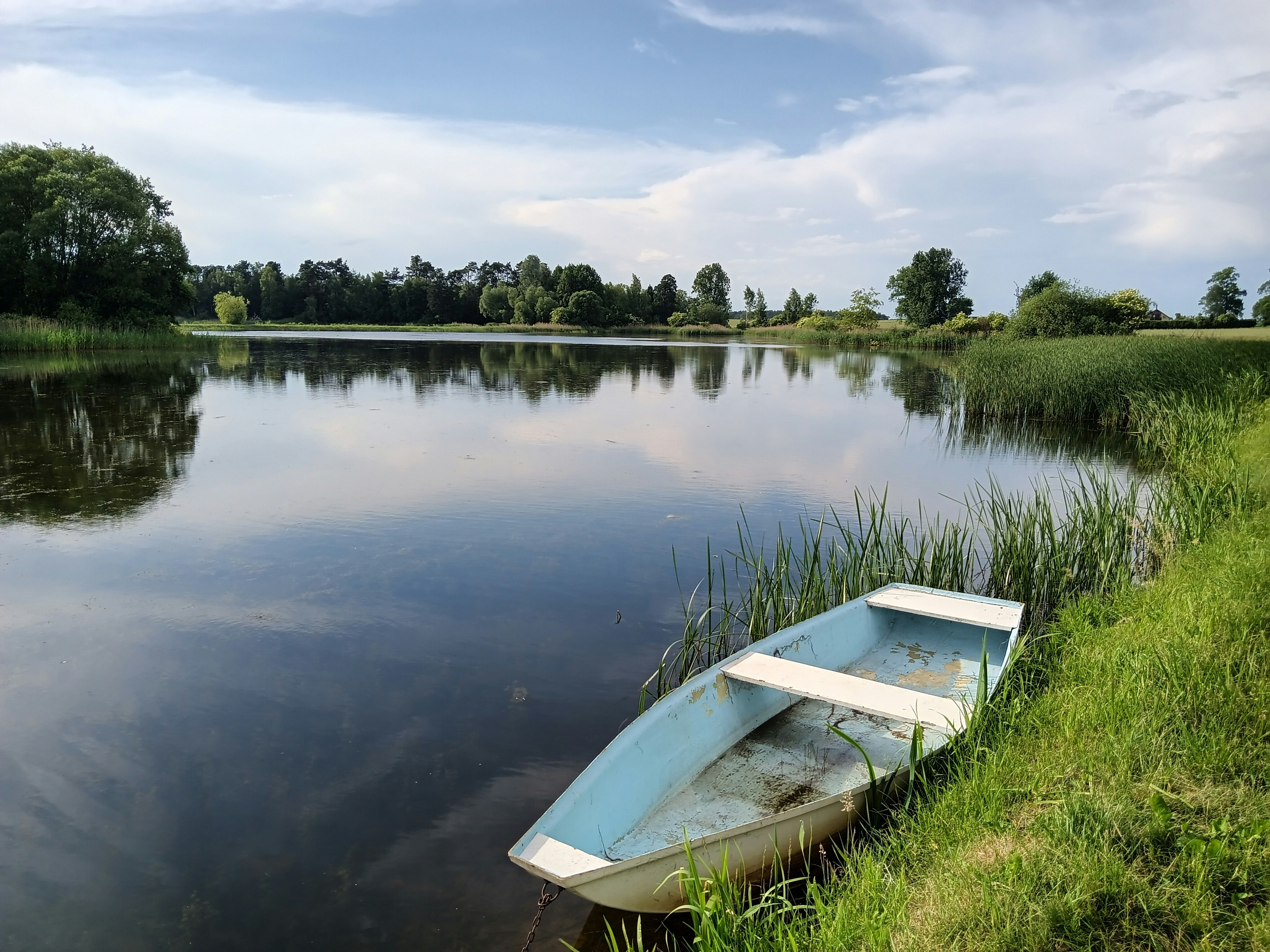 Blue Rowboat at the Quiet Lakeshore: Reflections and Reeds