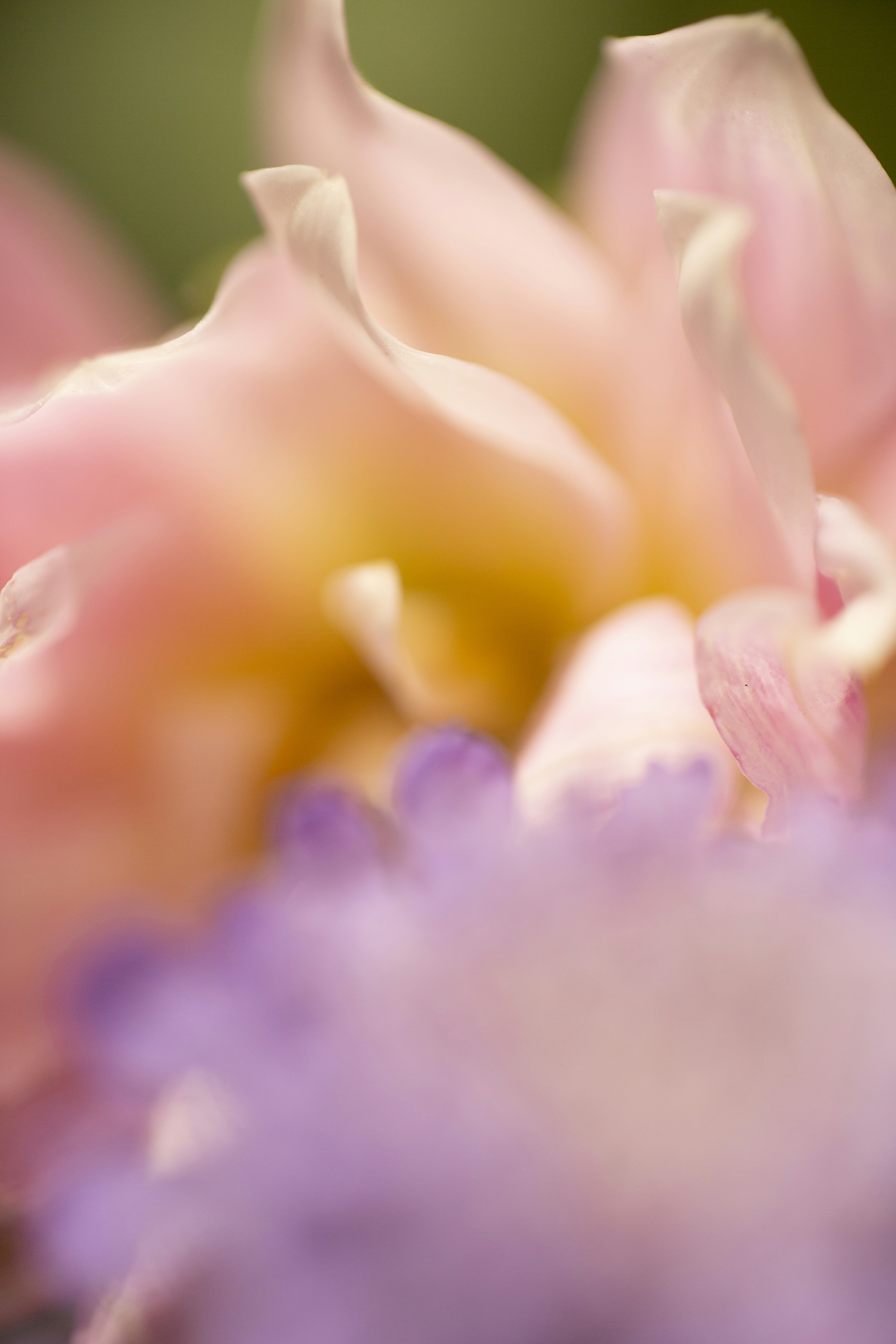 Photo by Diana Parkhouse with Canon EOS 5D Mark III