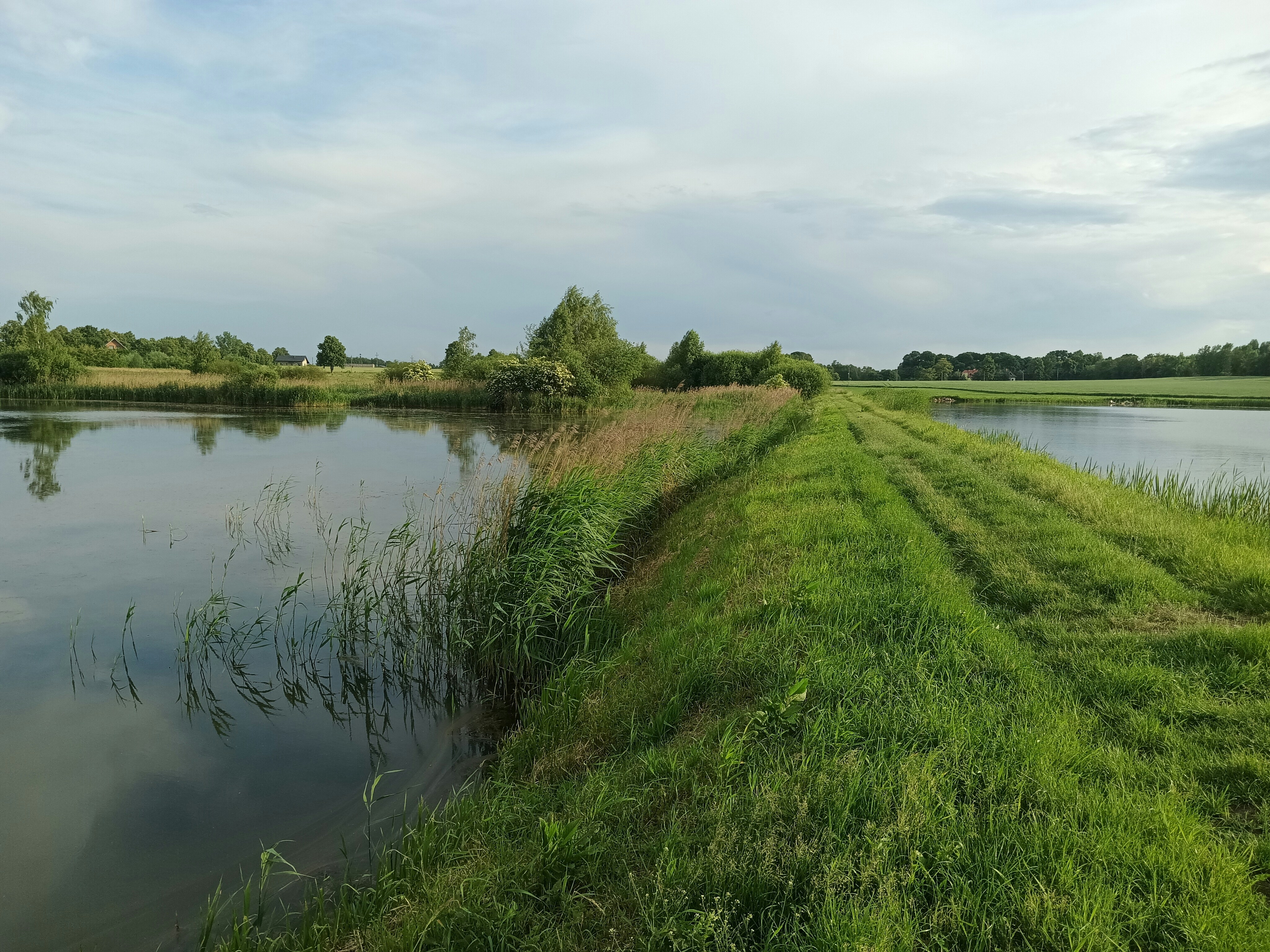 Verdant Dike Beside a Mirror-like Canal Under a Quiet Afternoon Sky