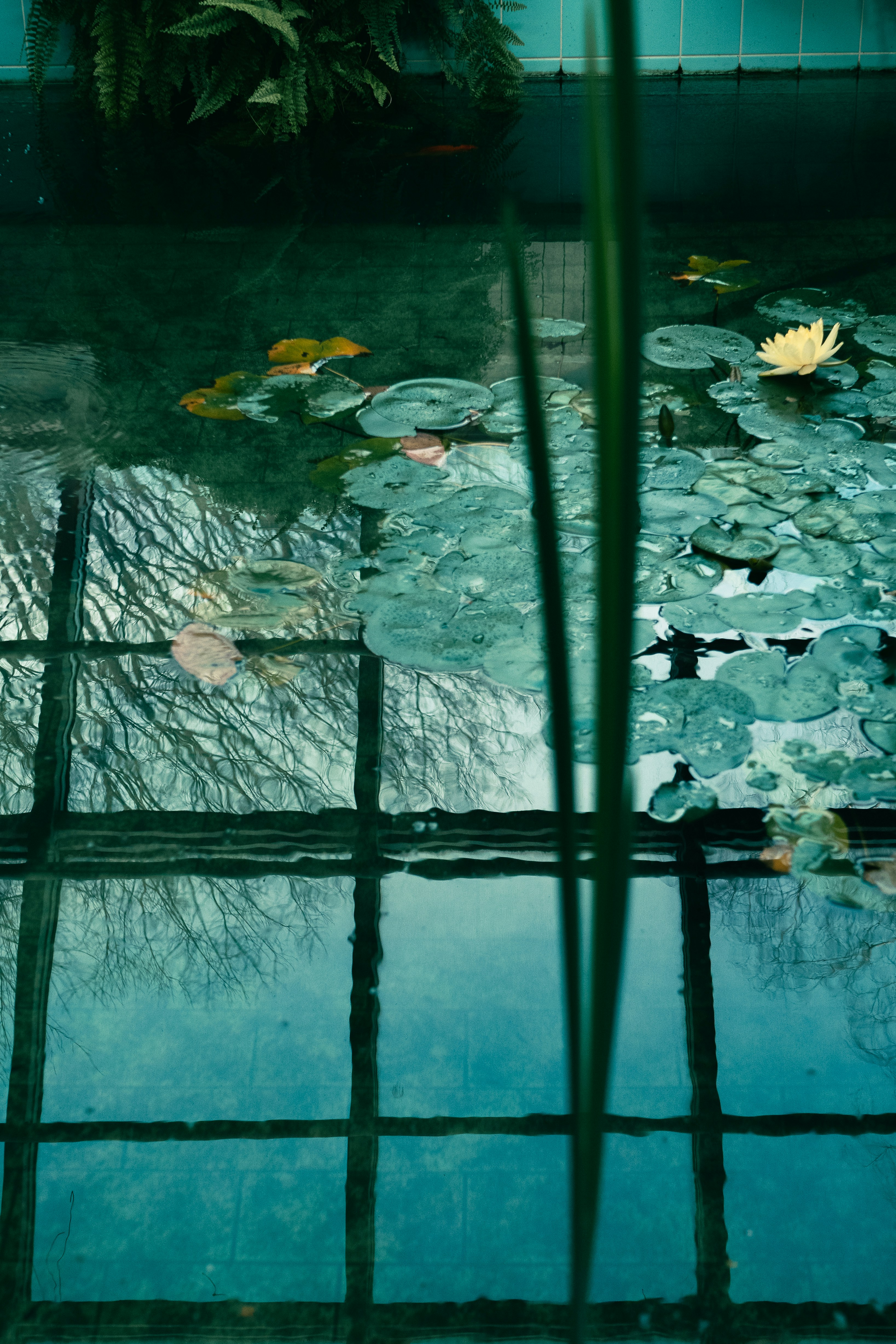 Photo by Anton Sidarau with Panasonic DC-G90