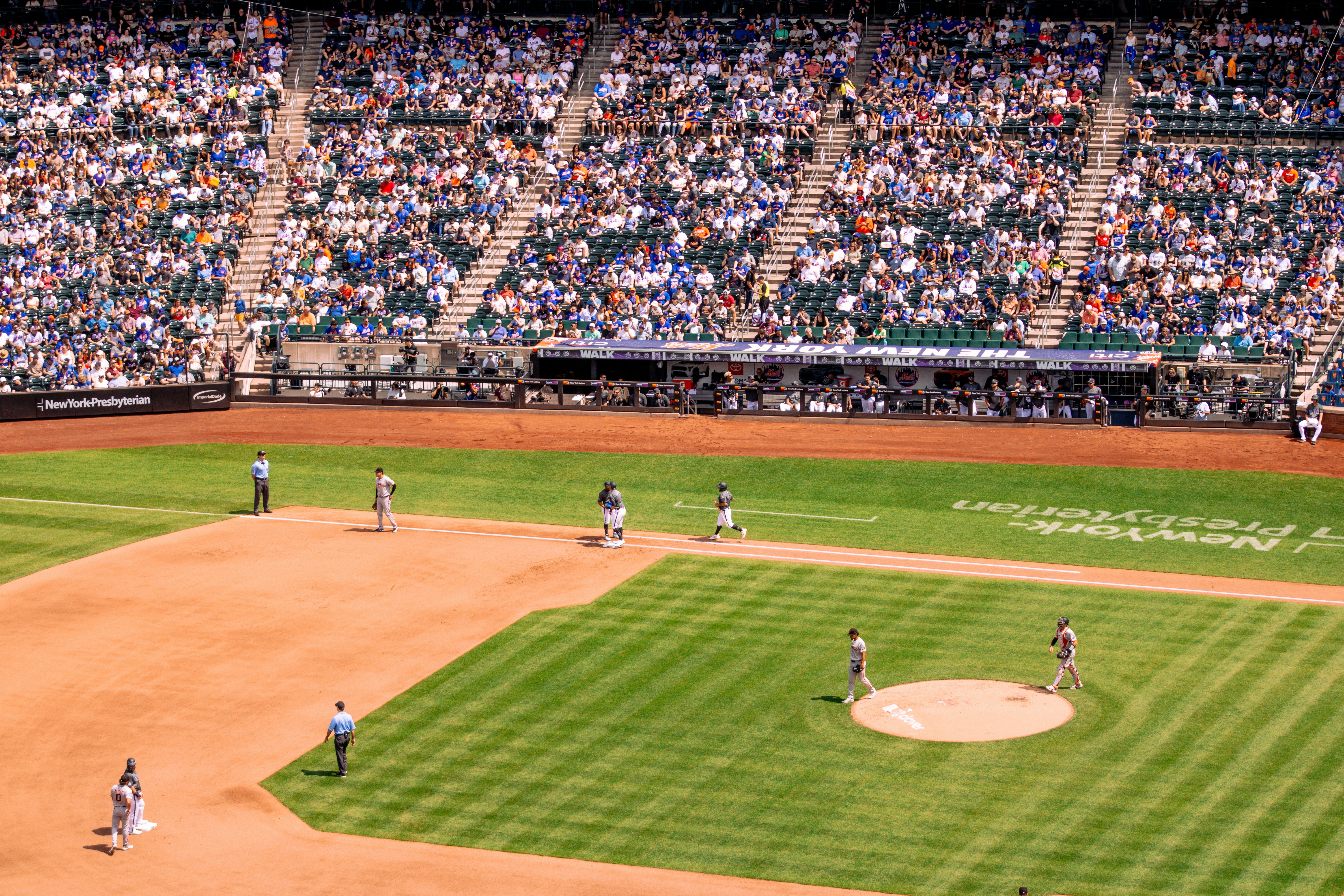 Diamond Dynamics: A Day at the Ballpark