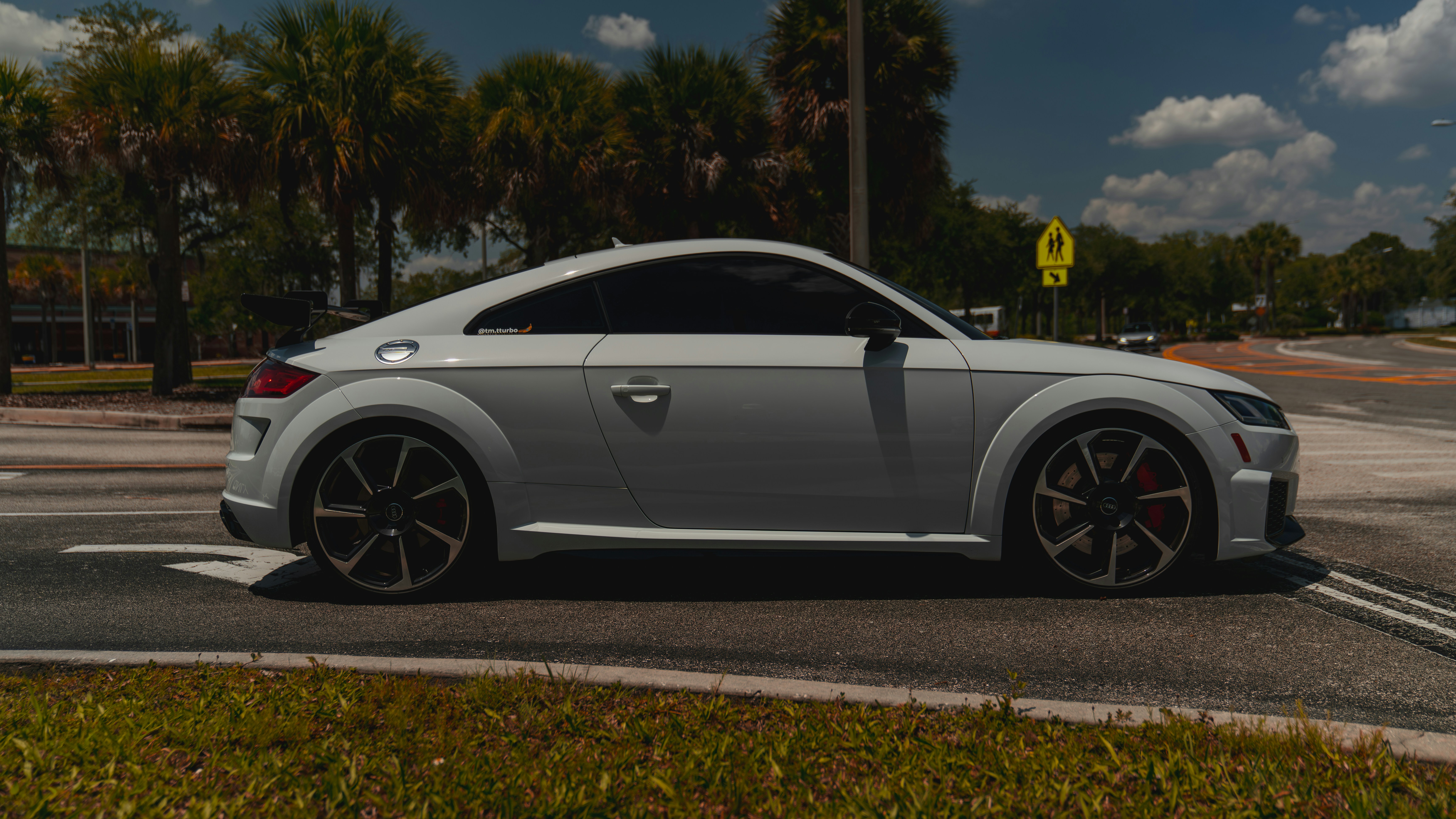 Sunlit Side Profile: A Silver Sports Coupe on a Palm-Strewn Street