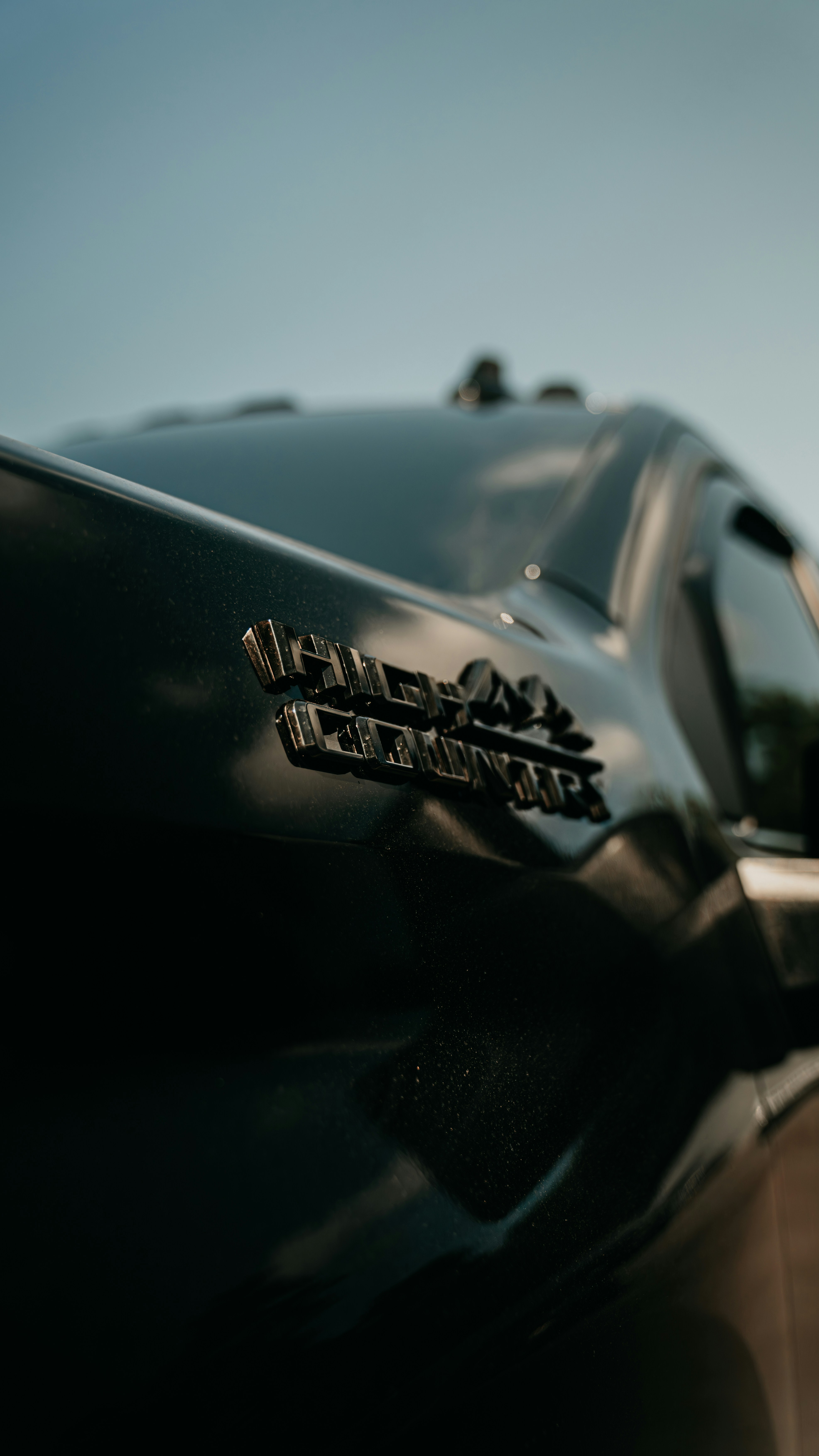 Chrome Emblem on a Shaded Pickup: Focused Detail on the Crest