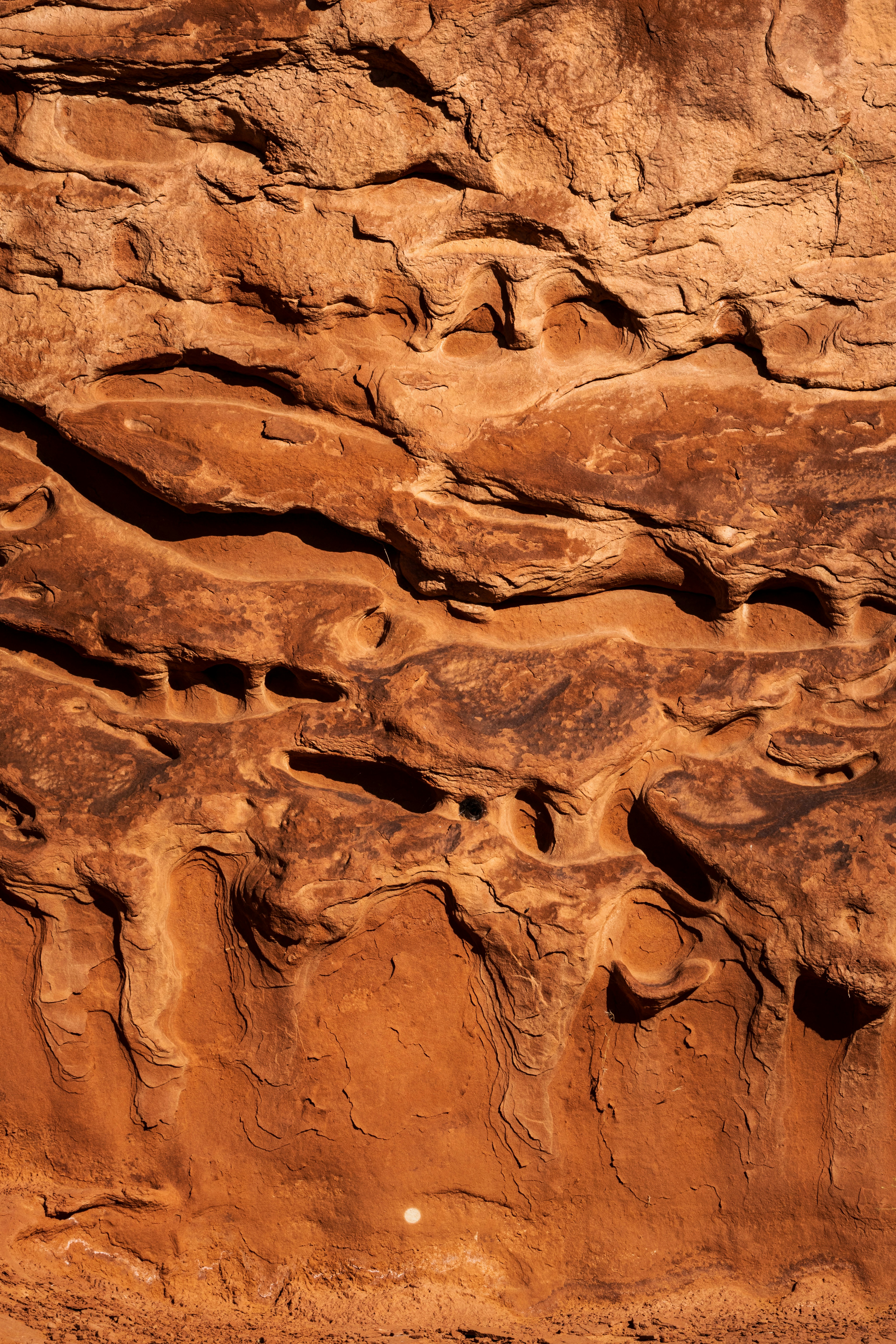 a rock formation with a bird standing on top of itBrandon Stoll