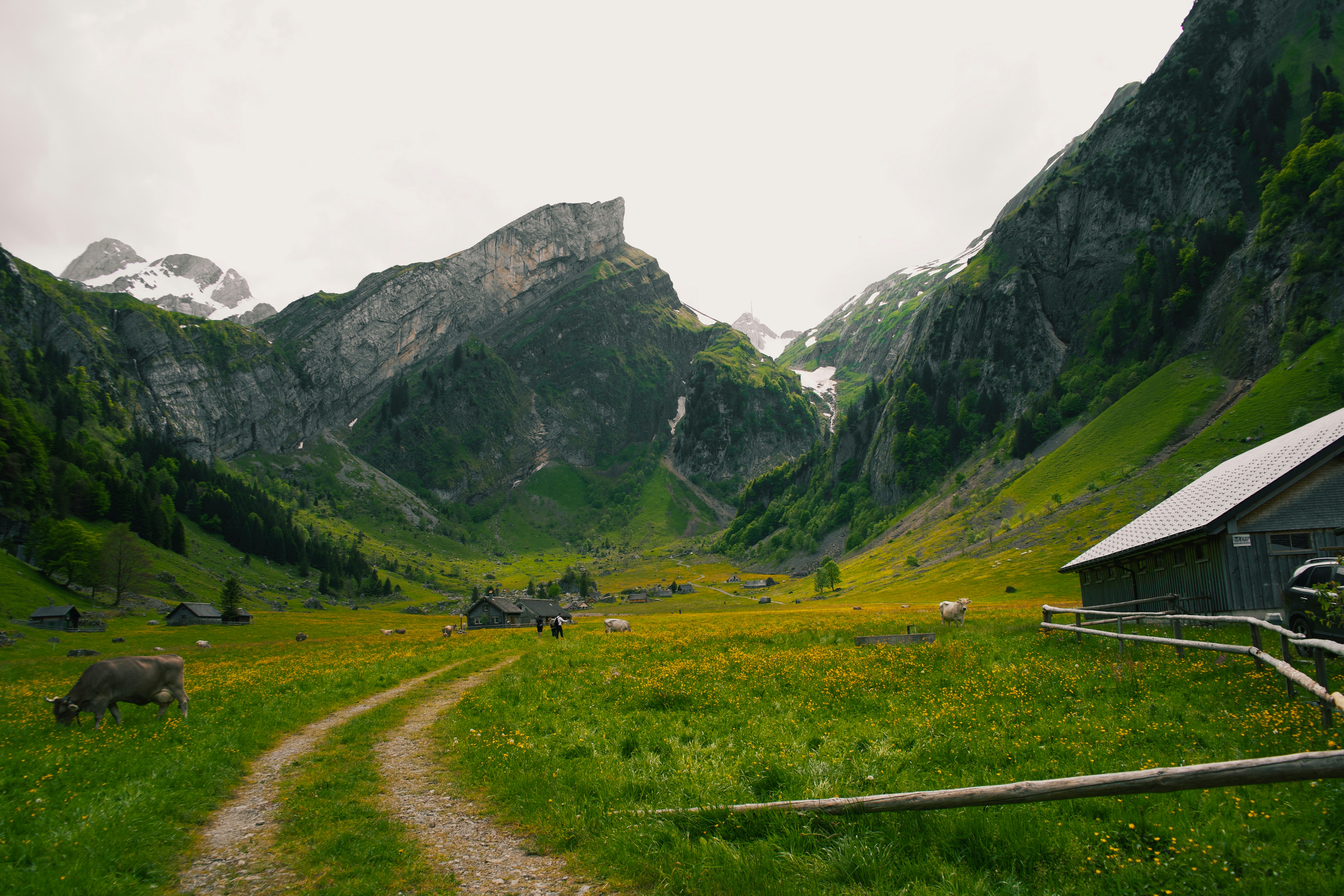 Grassy field with a winding path leading to rugged mountains under a cloudy sky.