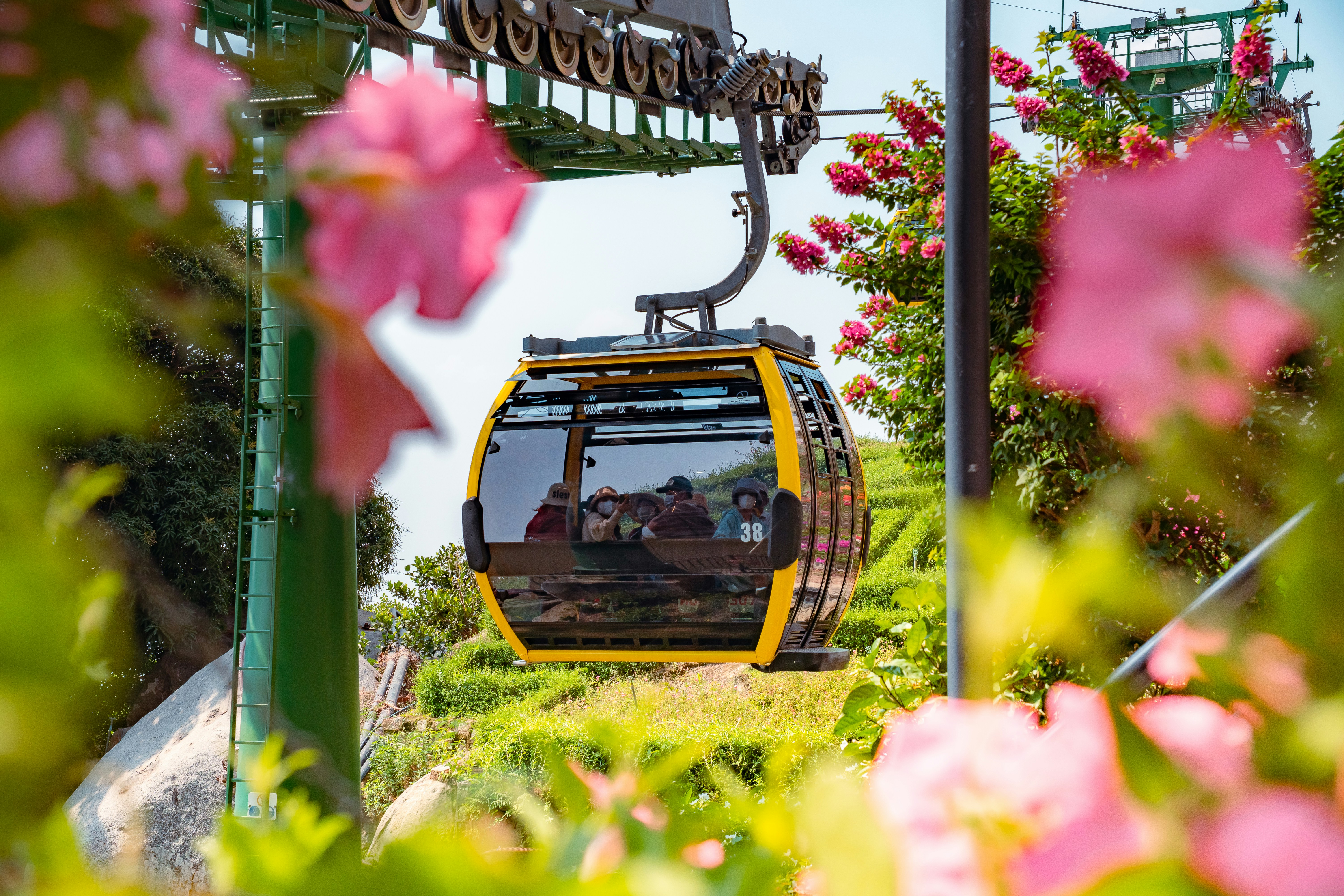 Gondola in Bloom: A Sunset Ride Through Floral Frames