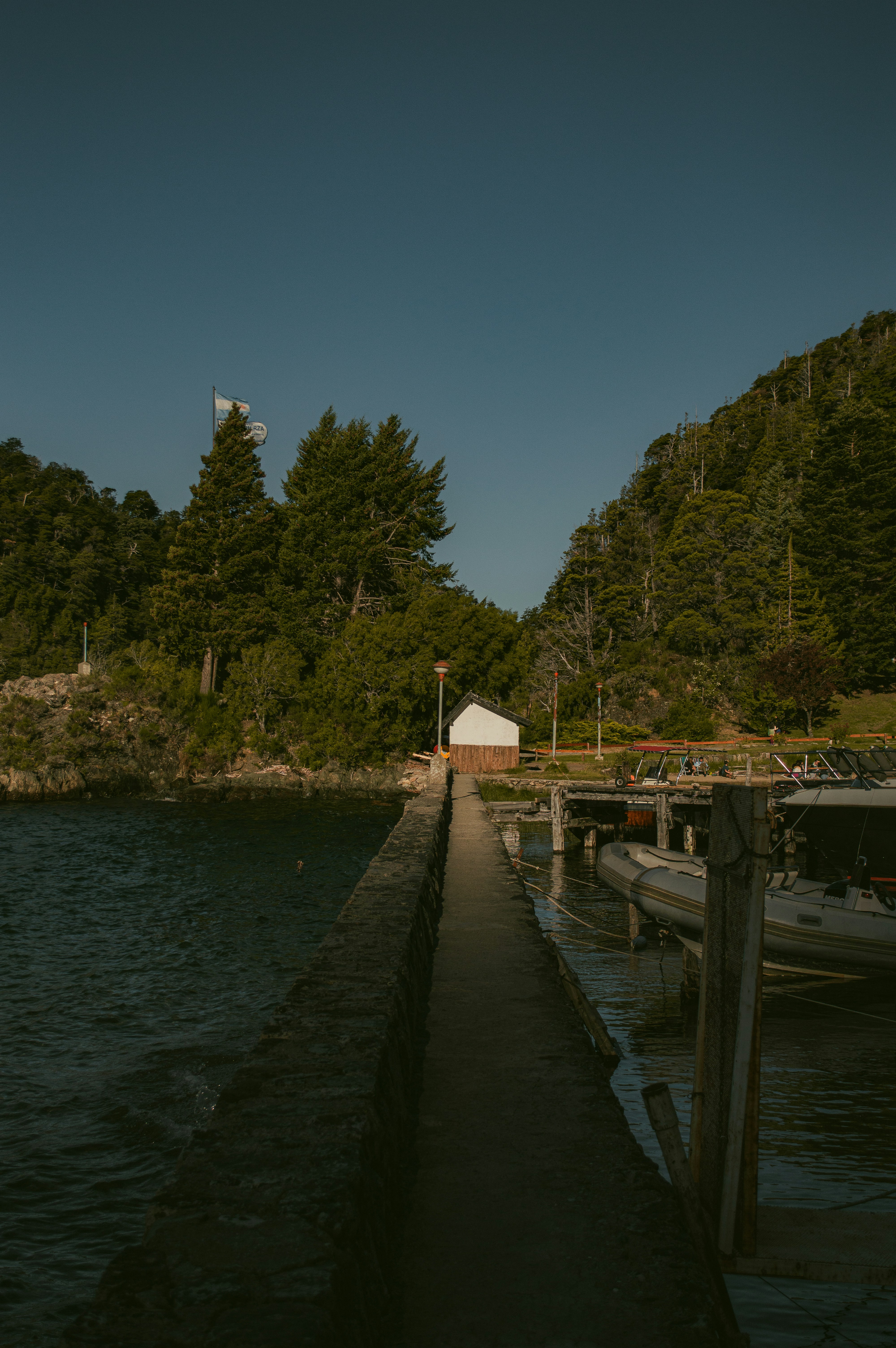 Silent Dock to the Distant Pines