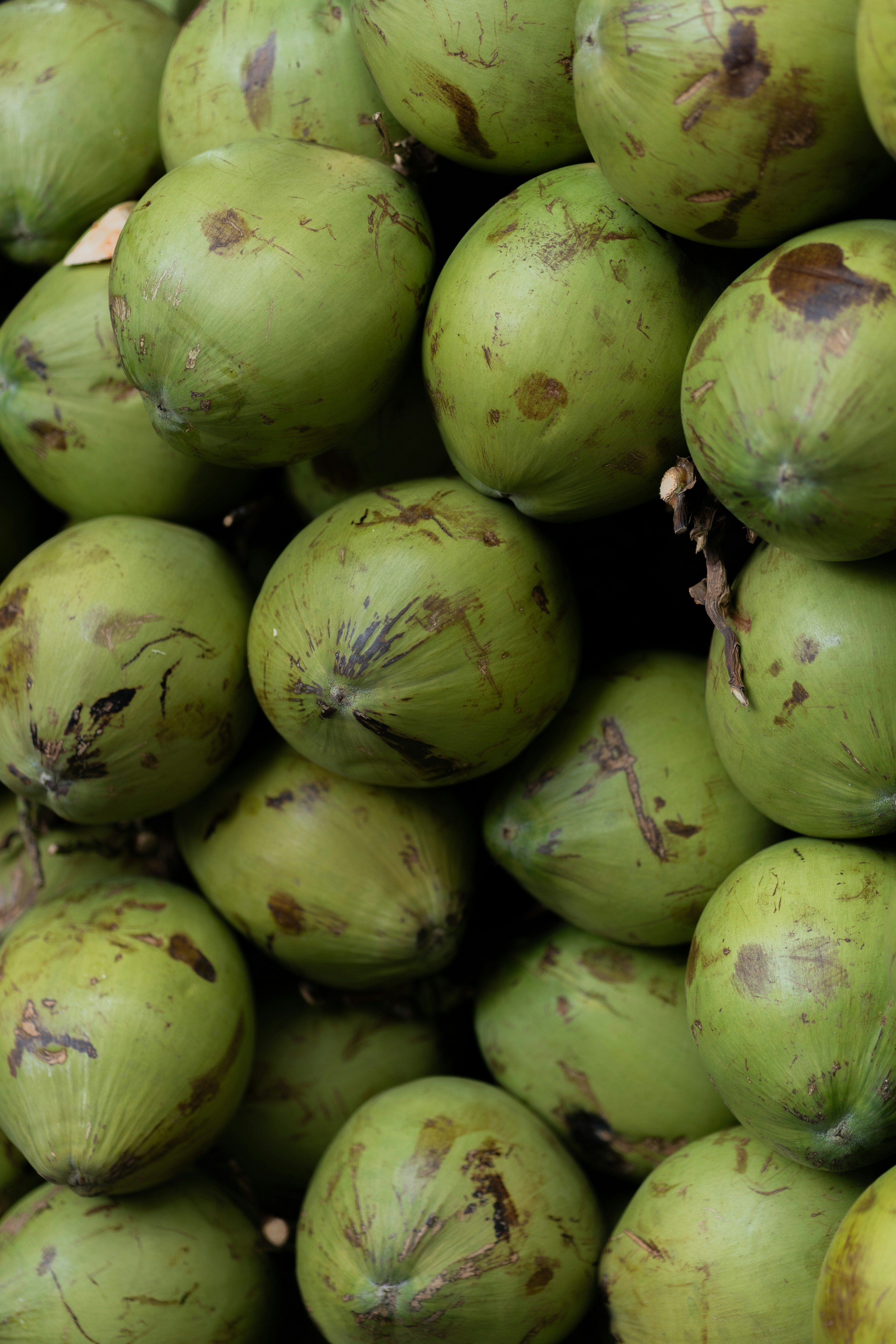 Emerald Orbs in Tight Pack: A Close-Up Coconut Portrait