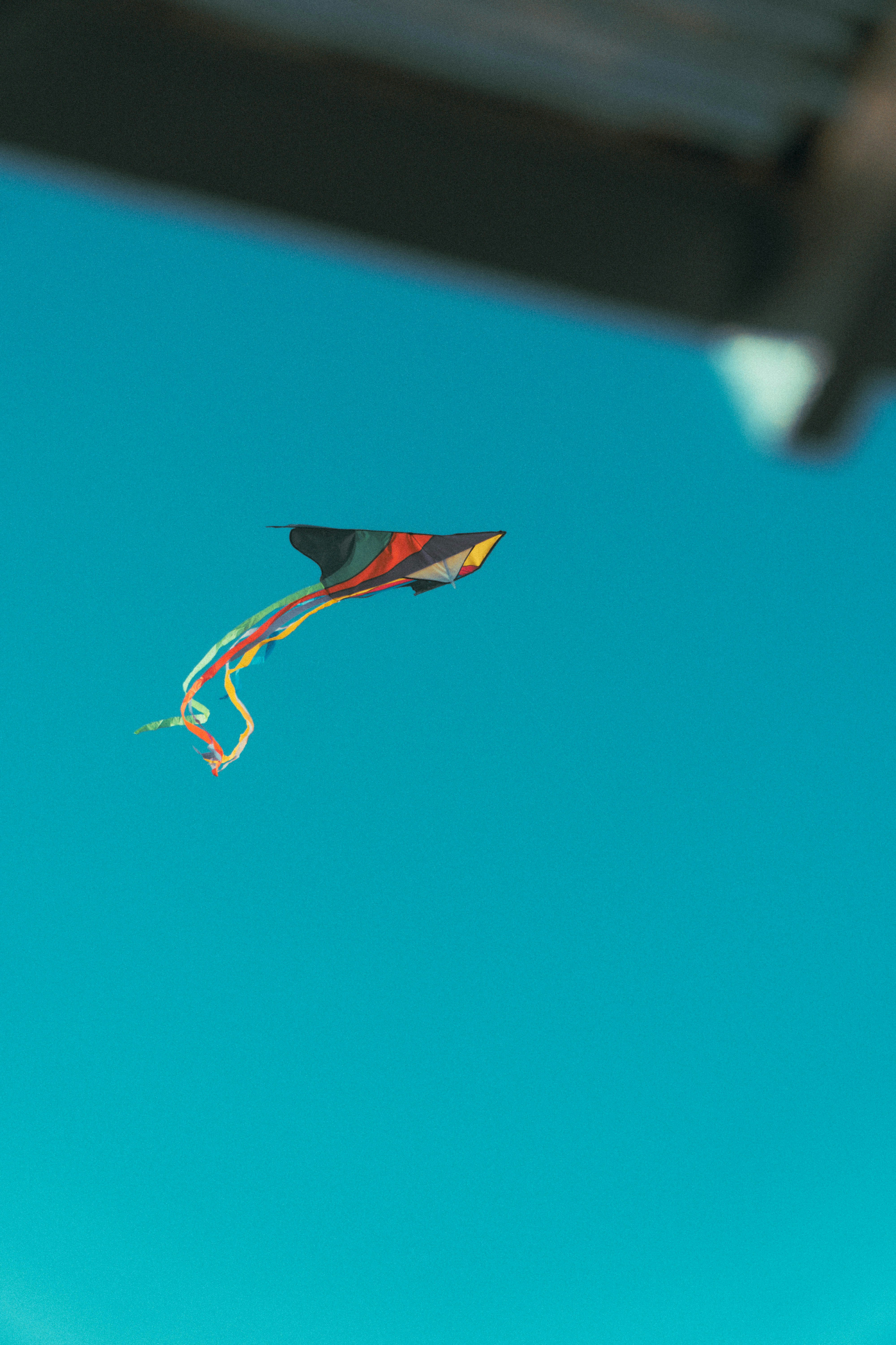 Aerial Prism: Ribbon-Tailed Kite Soars Across a Cerulean Sky