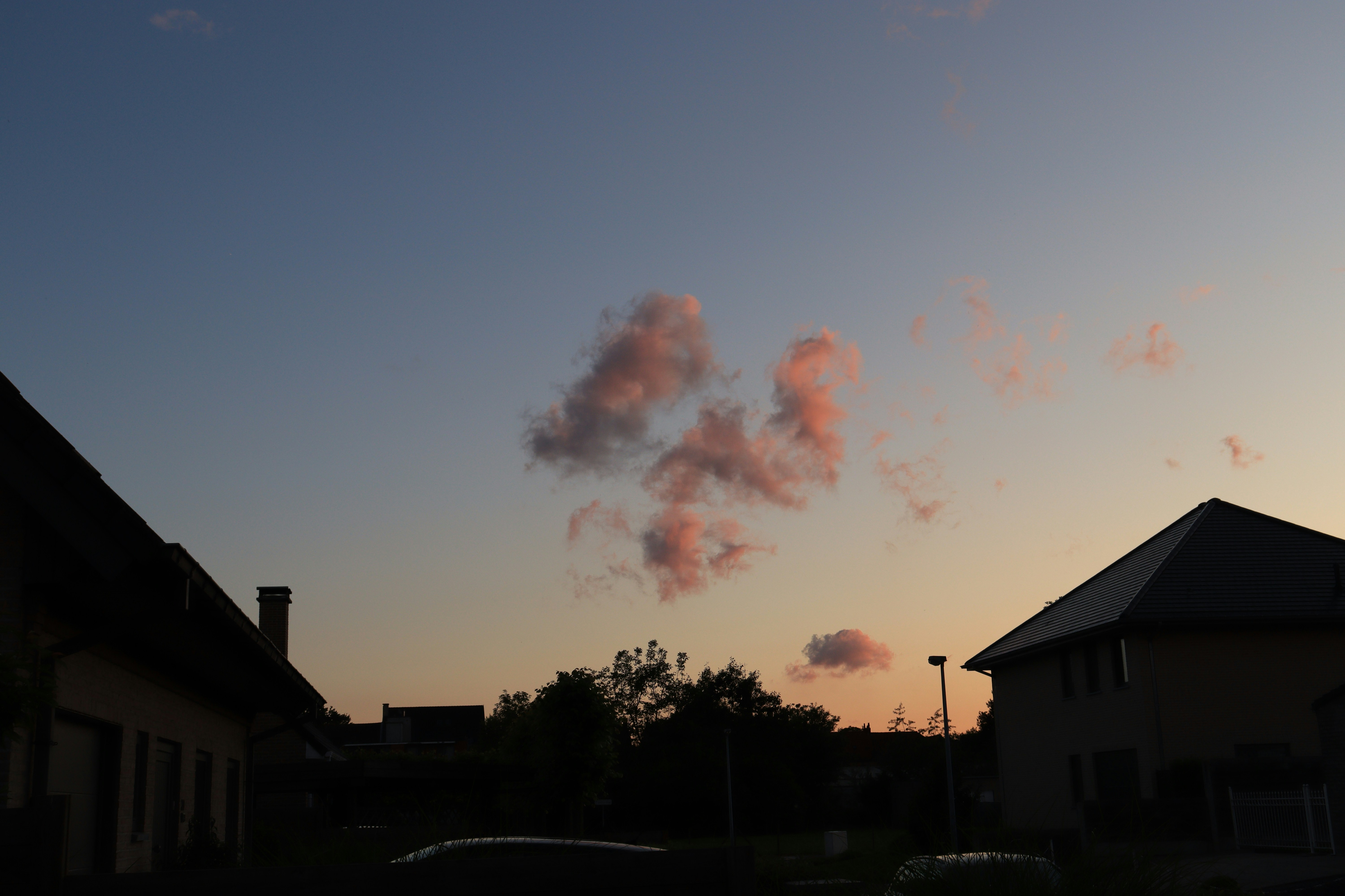 Dusk Over the Suburb: Pink Clouds and Silhouetted Rooftops