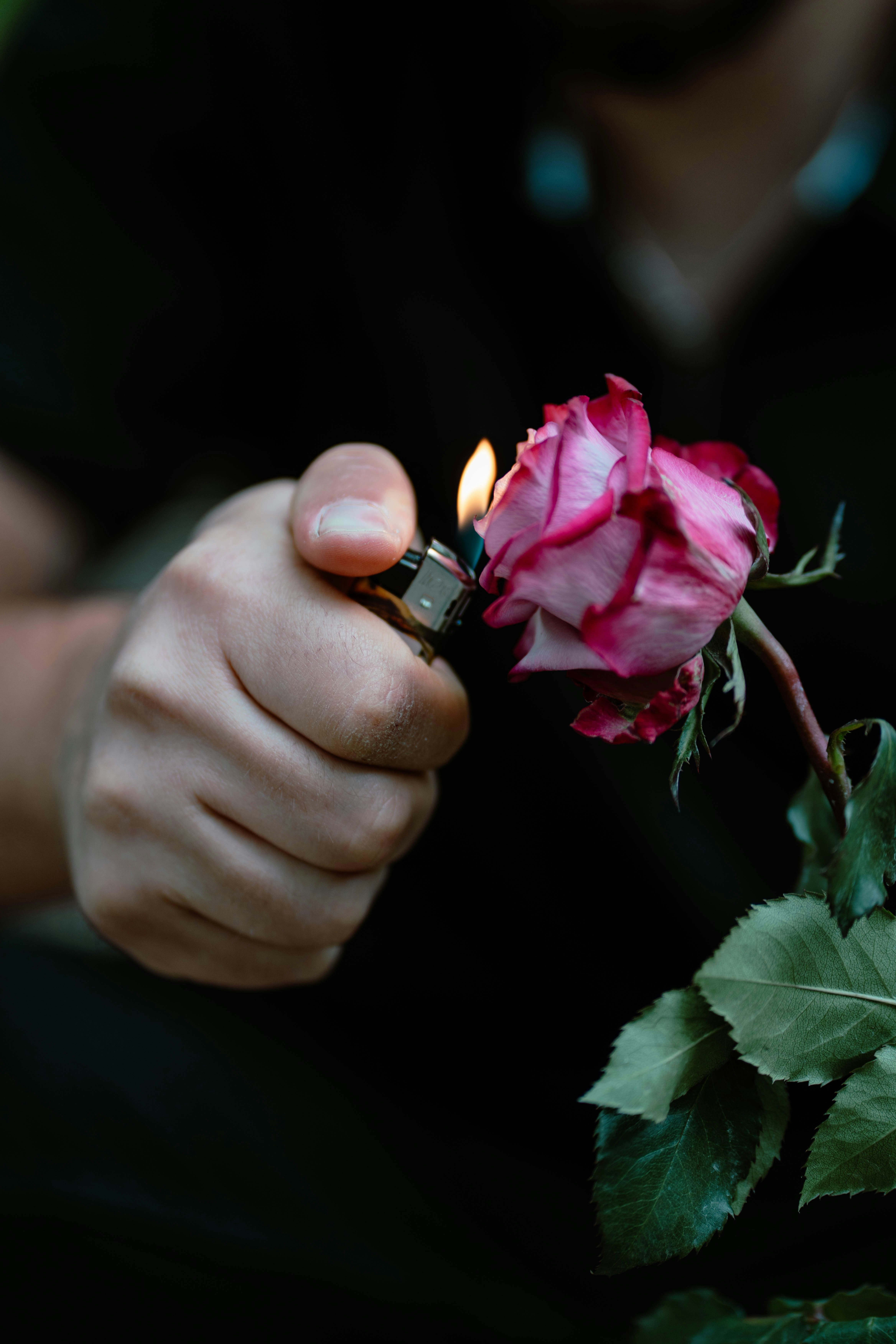 The Fiery Embrace of Beauty