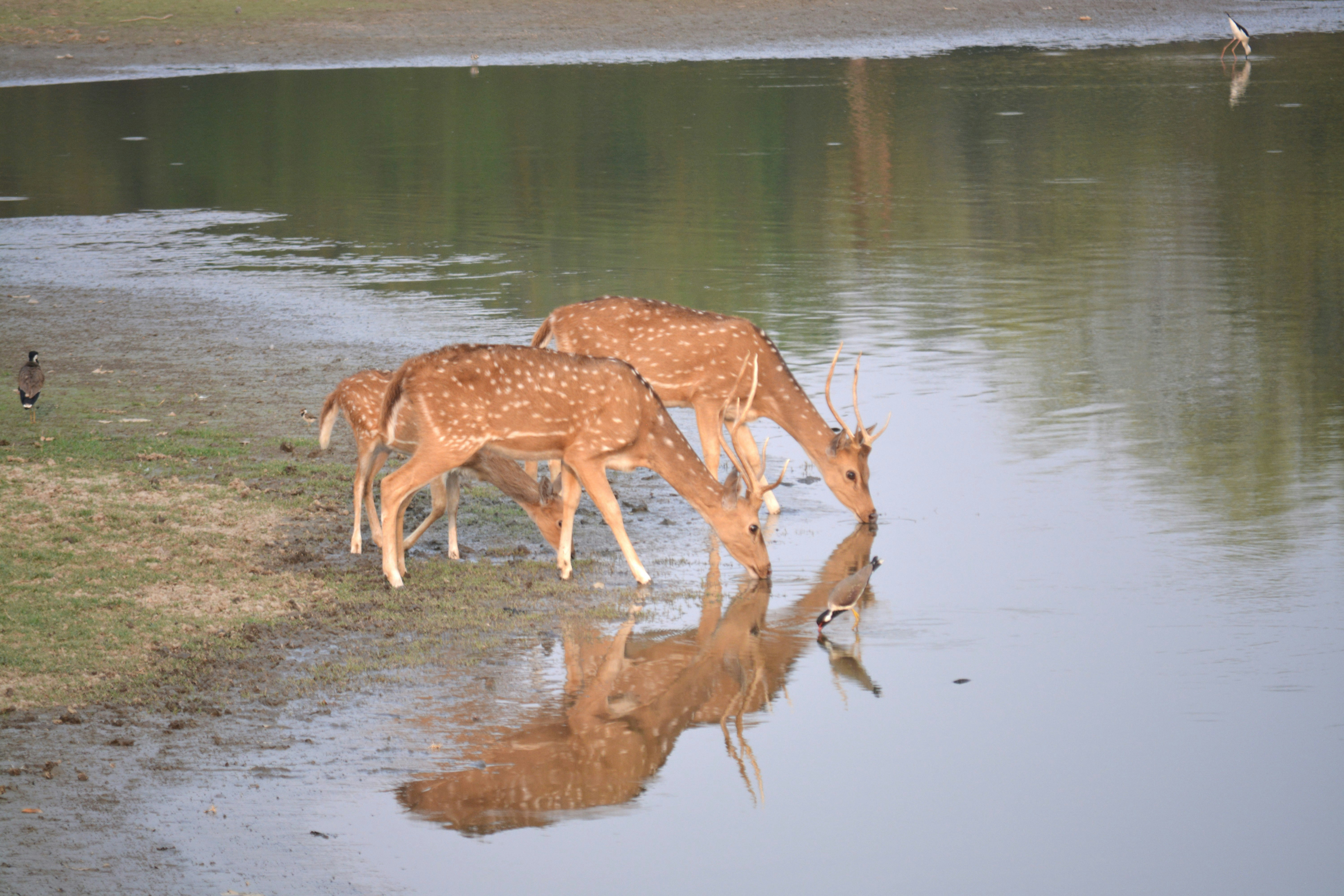 Zone II, Shot on 25th May 2024 by Alok Kumar Chaudhary
