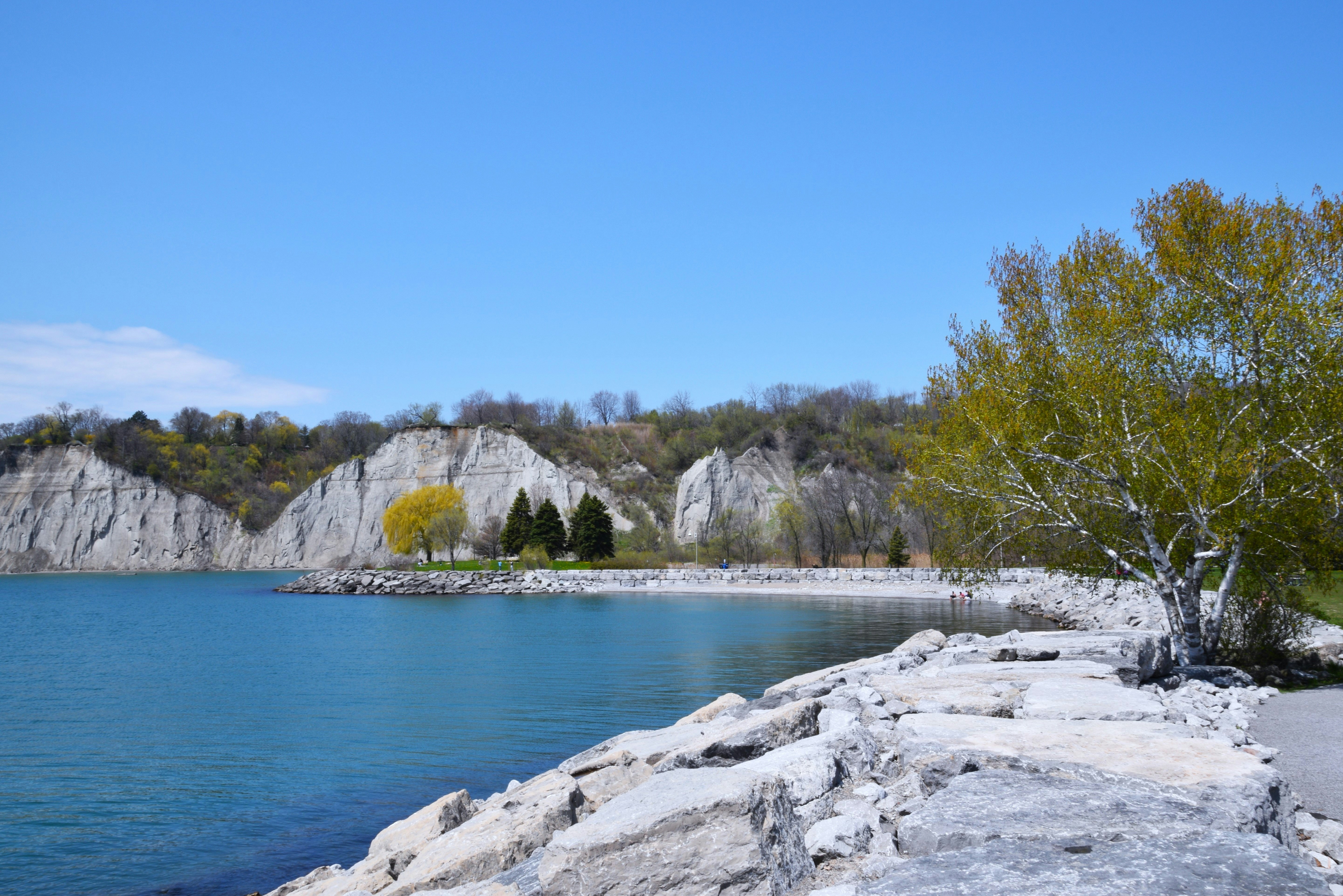 Birch and Chalk: Quiet Lakeside Cliffscape