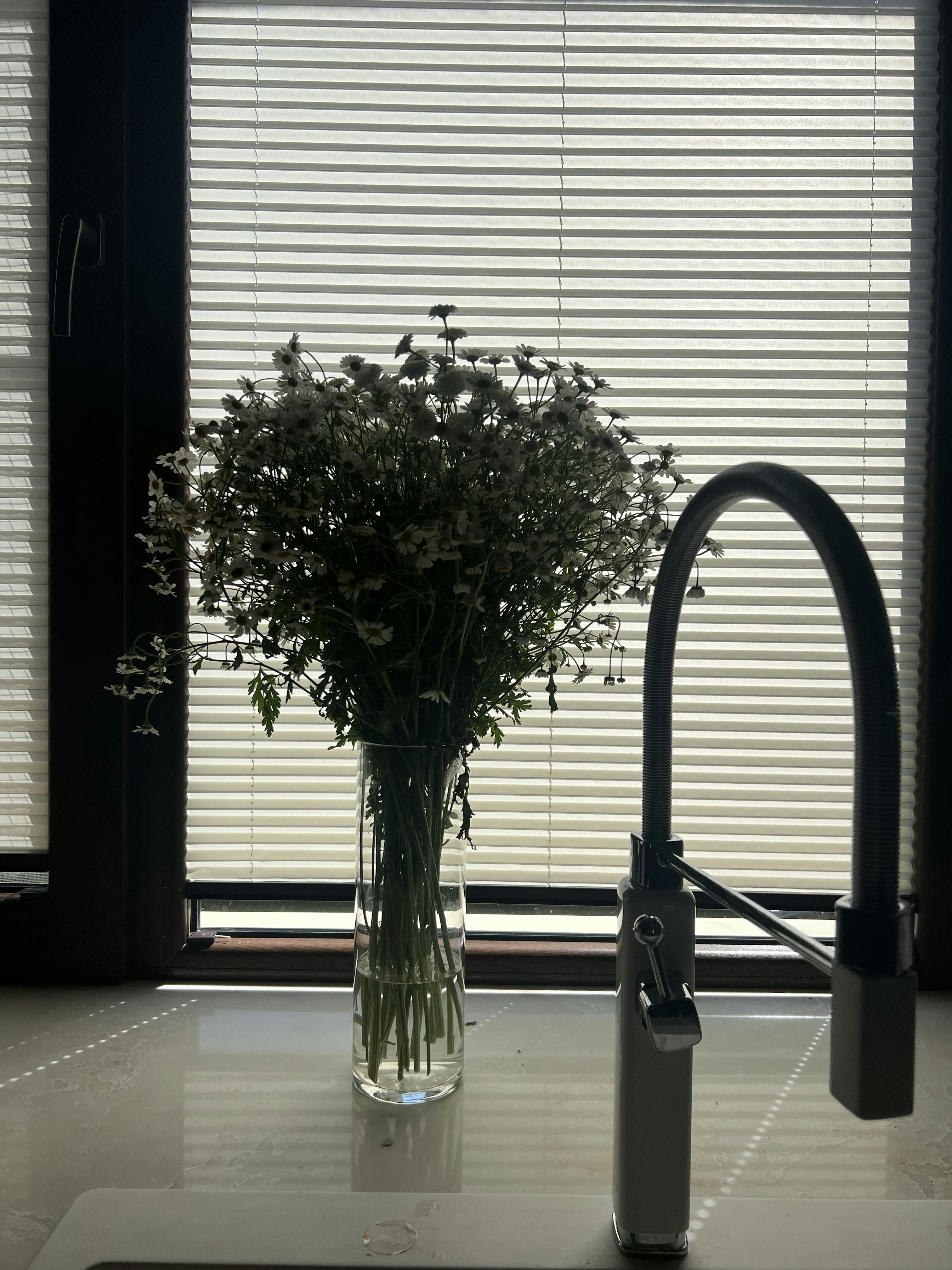 Daisies in Glass: Quiet Kitchen Backlit by Horizontal Blinds