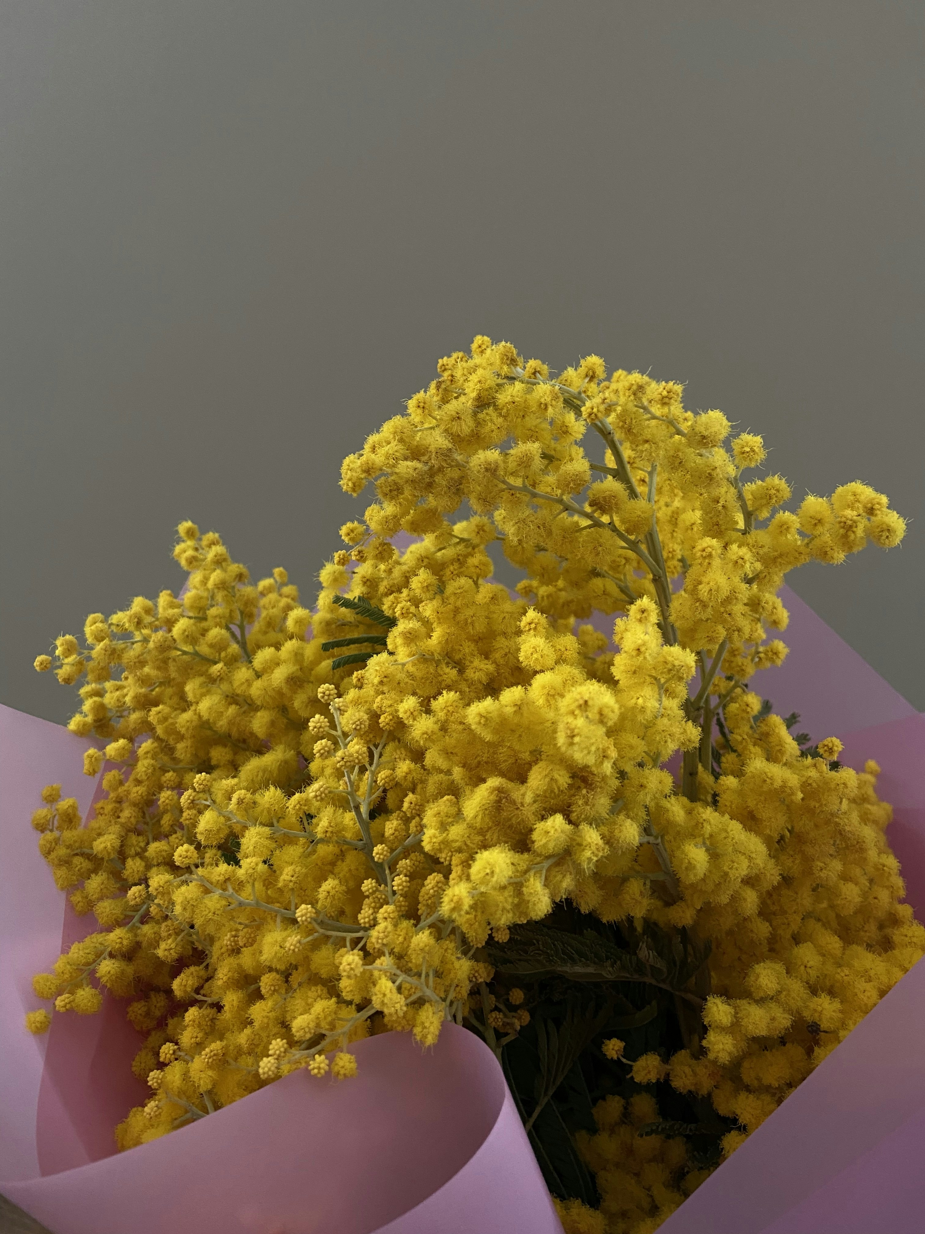 Sun-Kissed Mimosa Bouquet in a Pink-Wrapped Frame