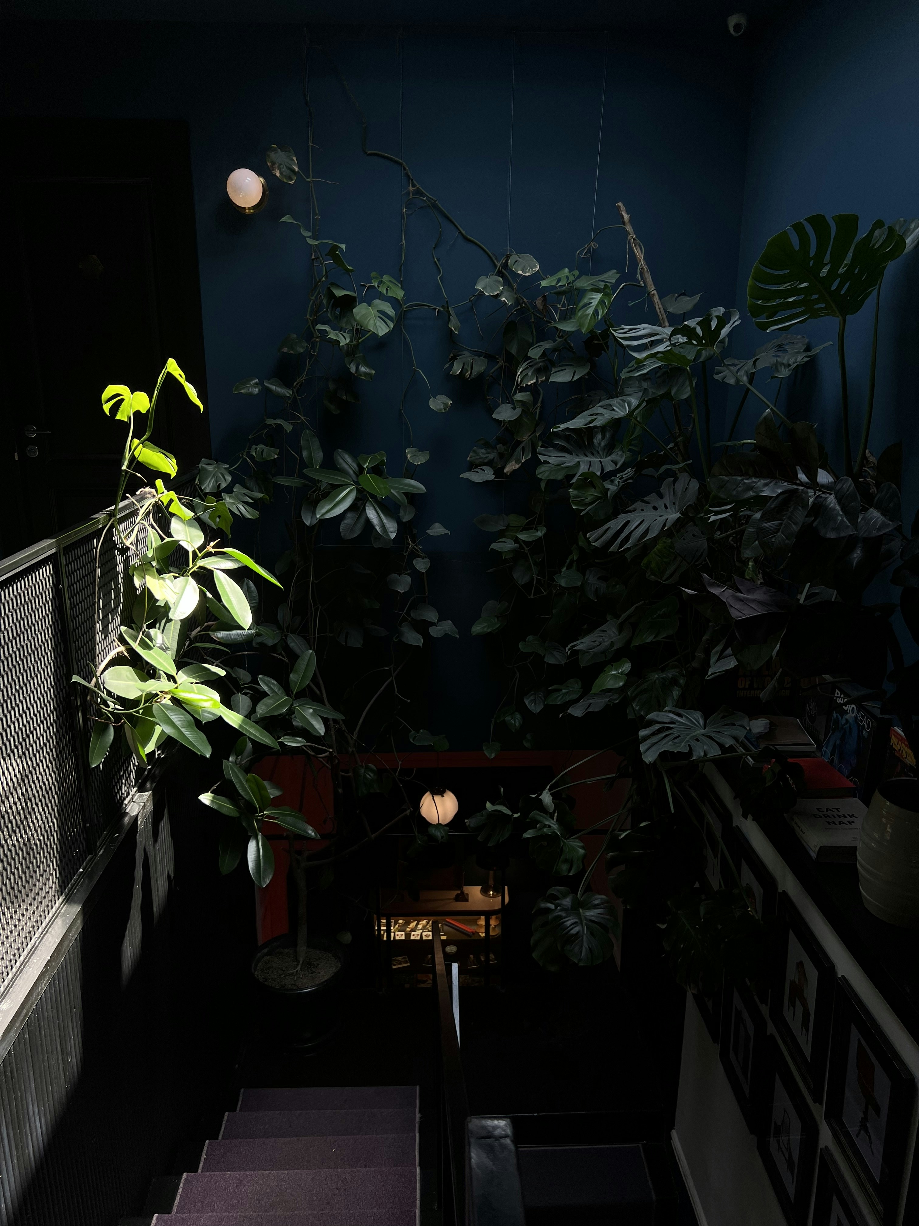 Nocturnal Atrium: Neon-Green Leaves Crown a Dim Stairwell