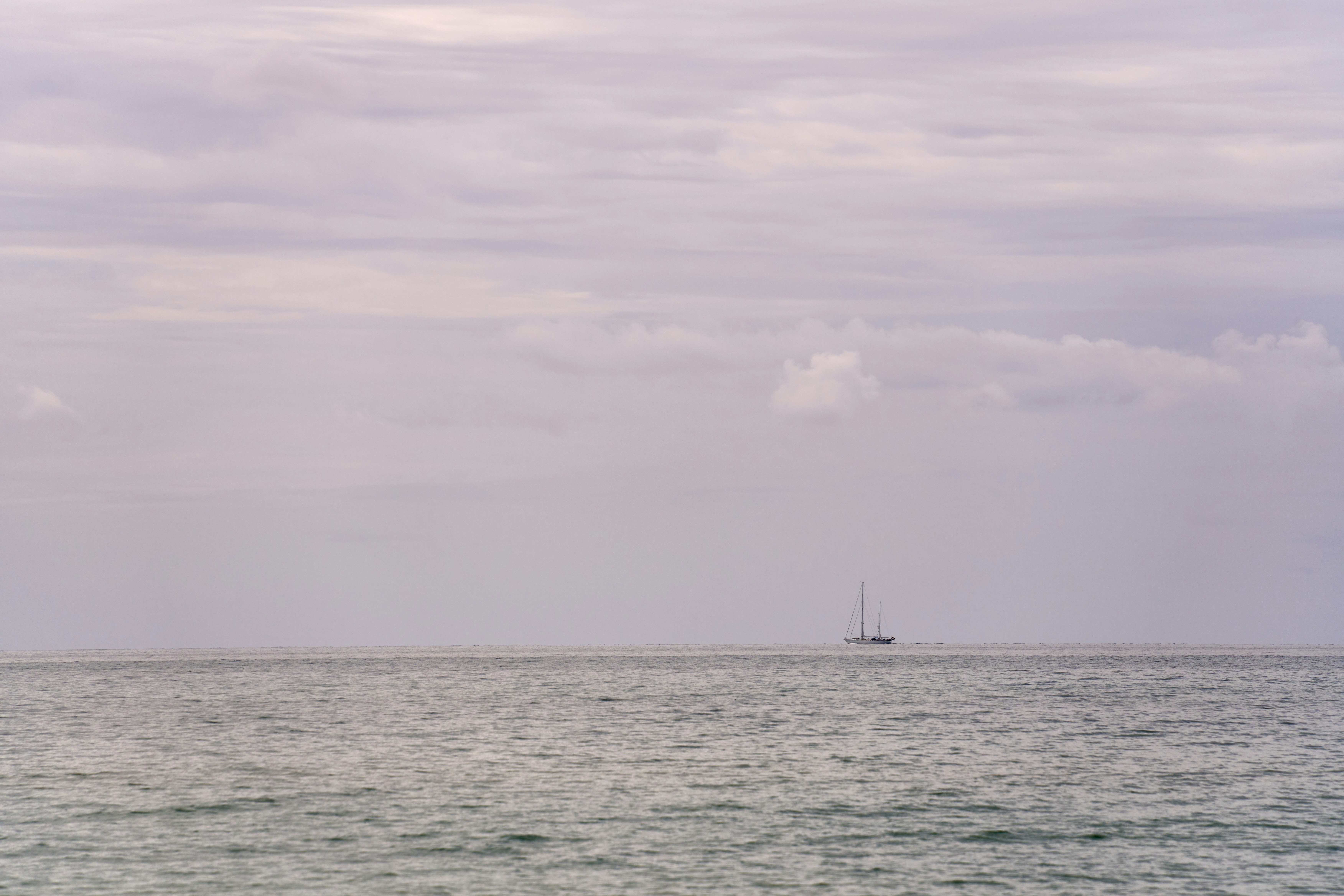 Photo by Wolfgang Hasselmann with Sony Alpha 7 IV