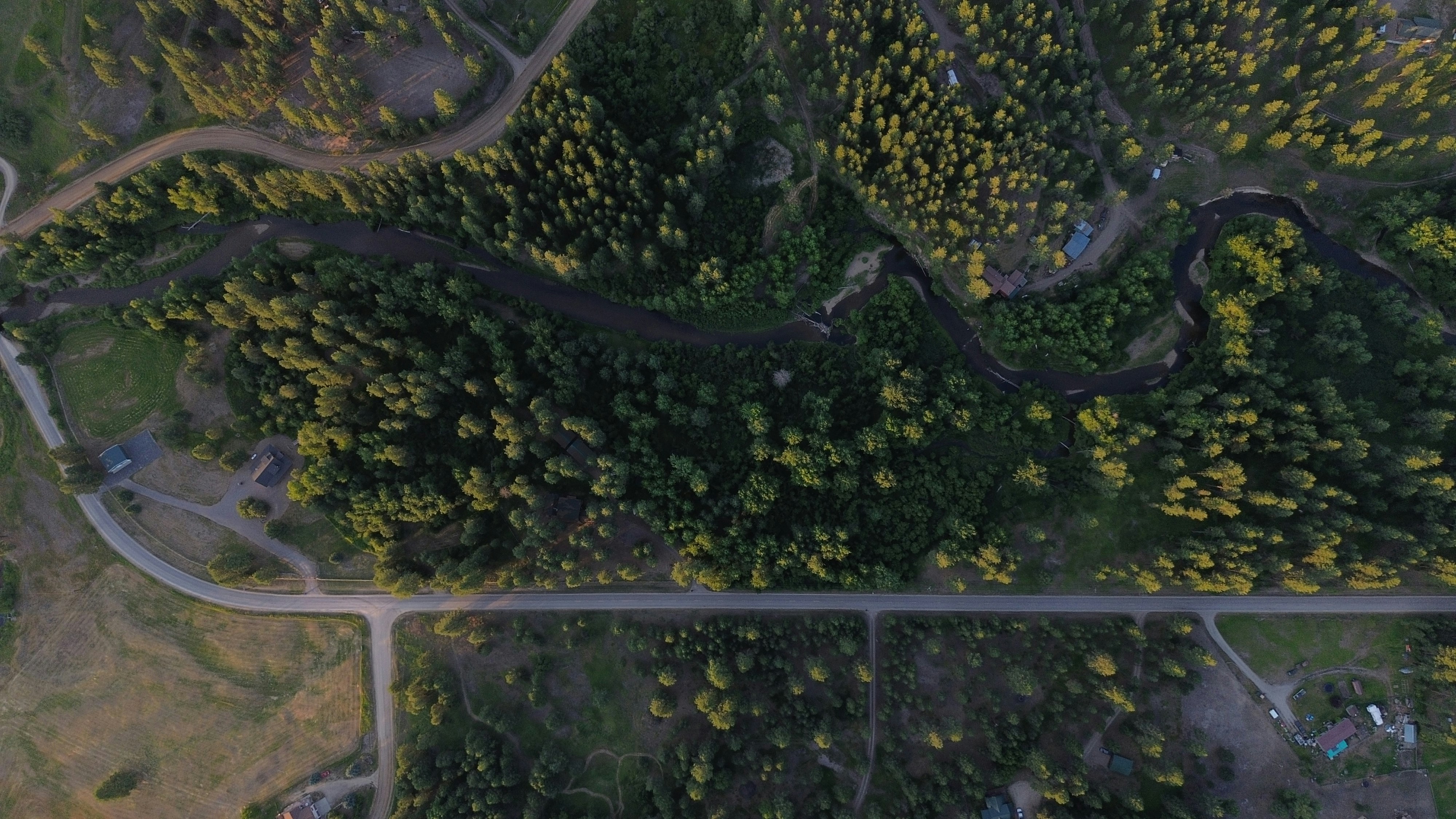 Aerial view of dense forest with winding roads and a meandering river at dusk.