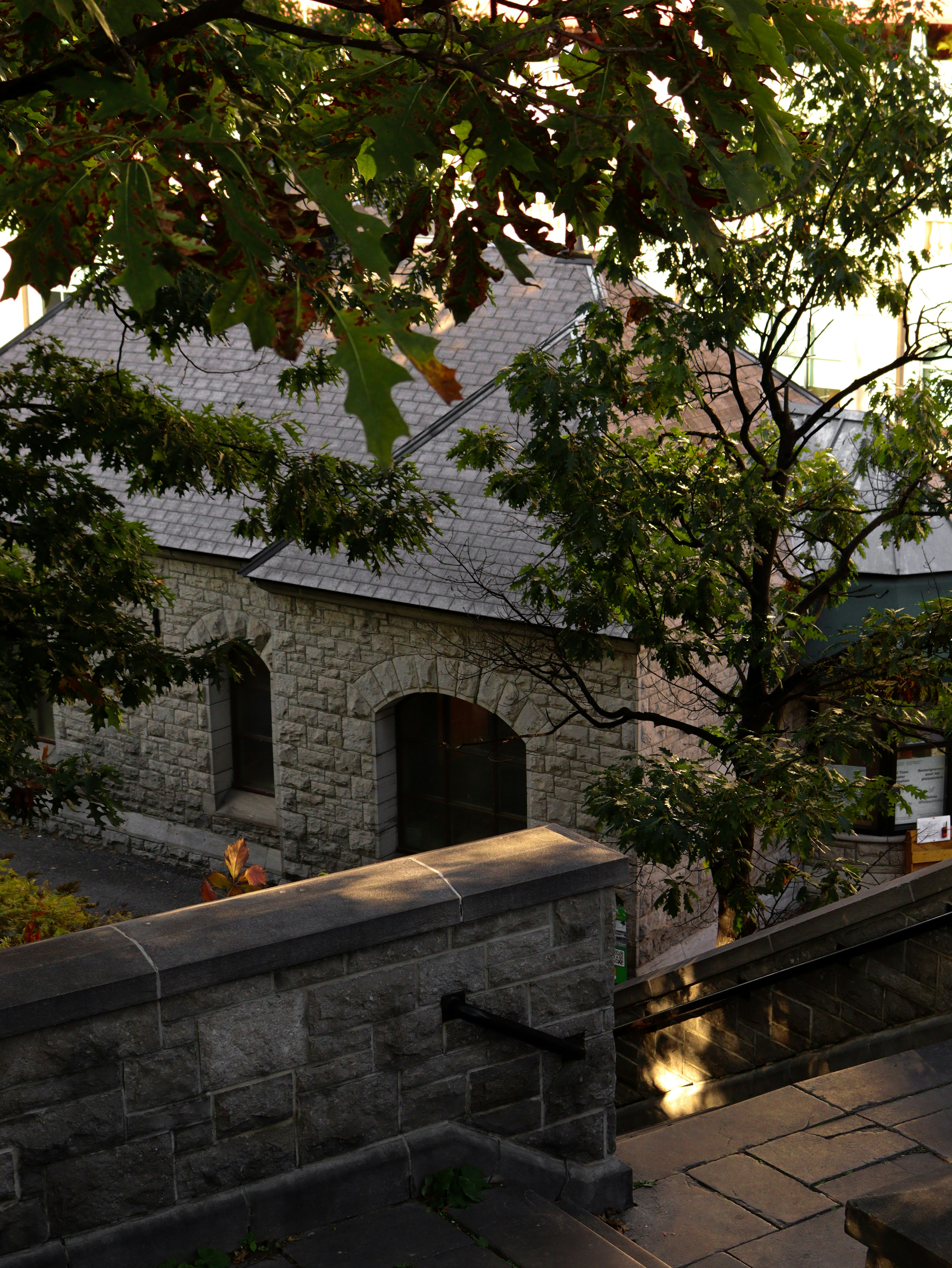 Stone Archway Beneath a Canopy: Dappled Light on a Quiet Courtyard Stair
