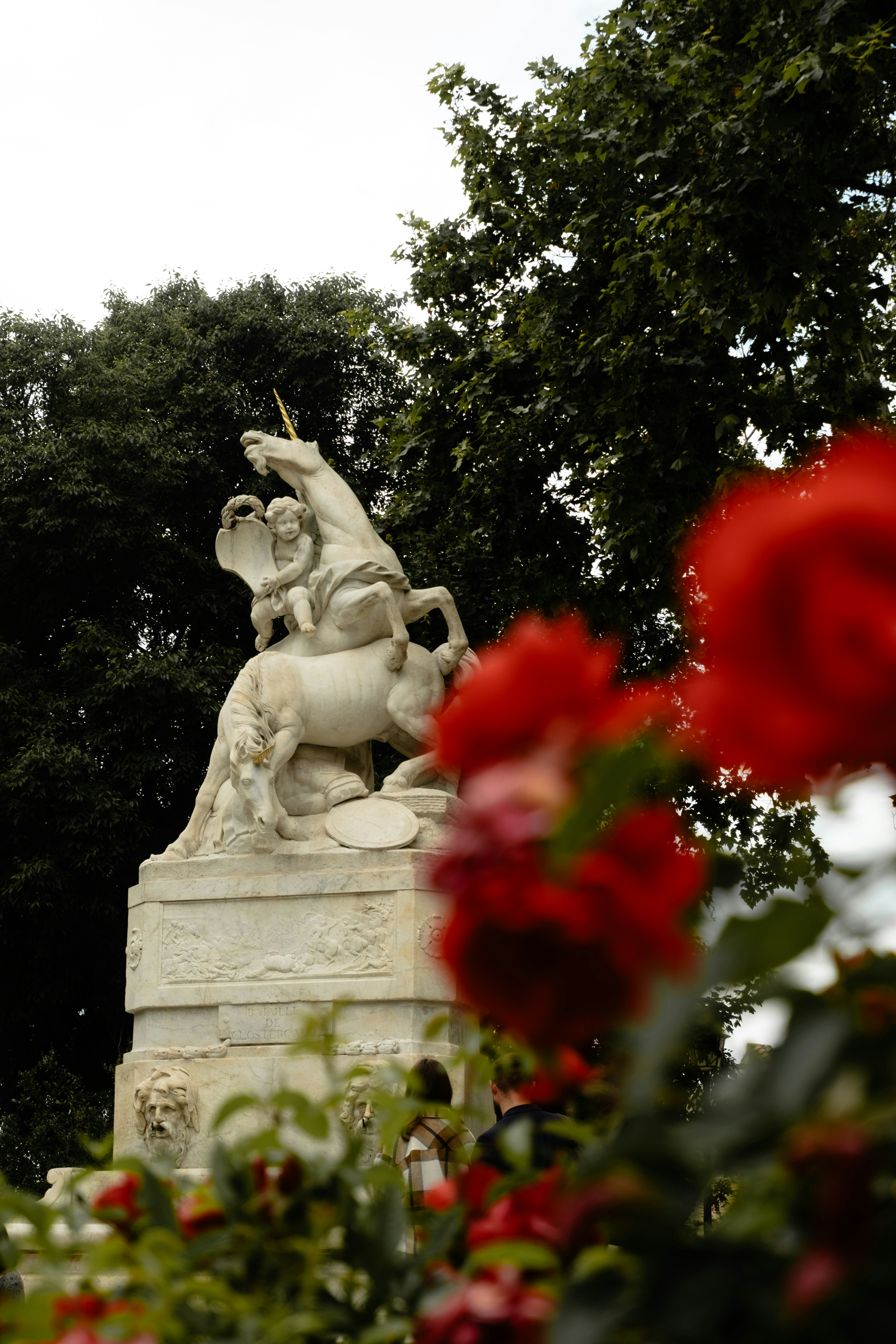 Equestrian Marble: A Statue Framed by Velvet Roses